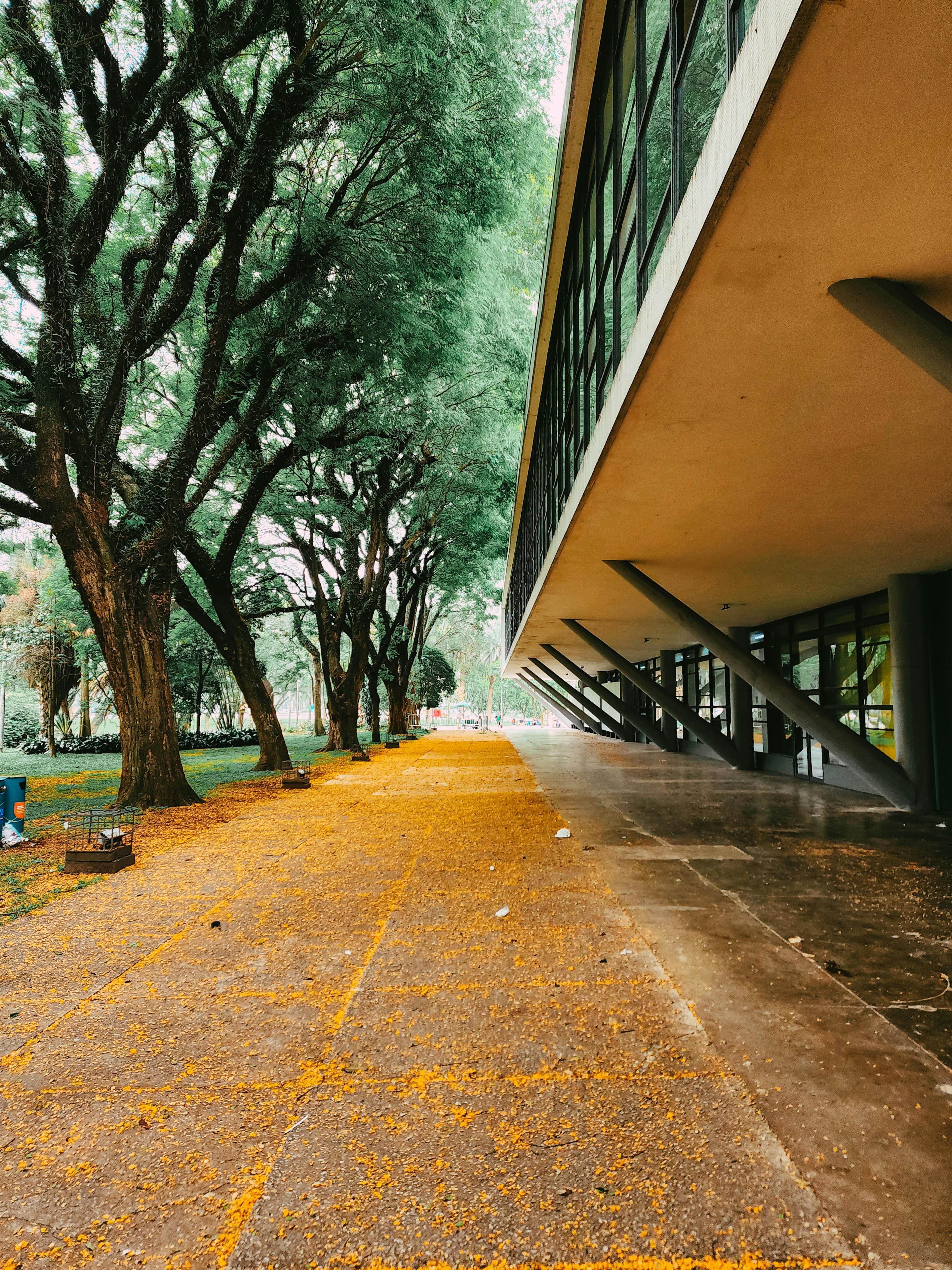 Trees near Building in Park · Free Stock Photo