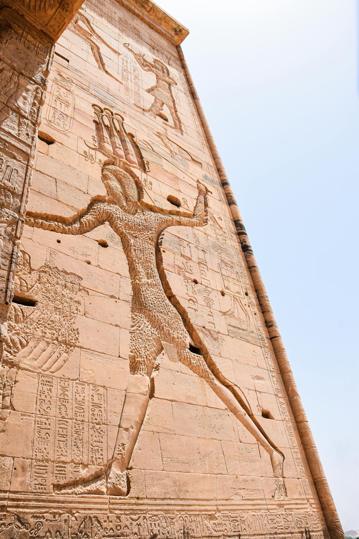 Relief Photos, Download The BEST Free Relief Stock Photos & HD Images