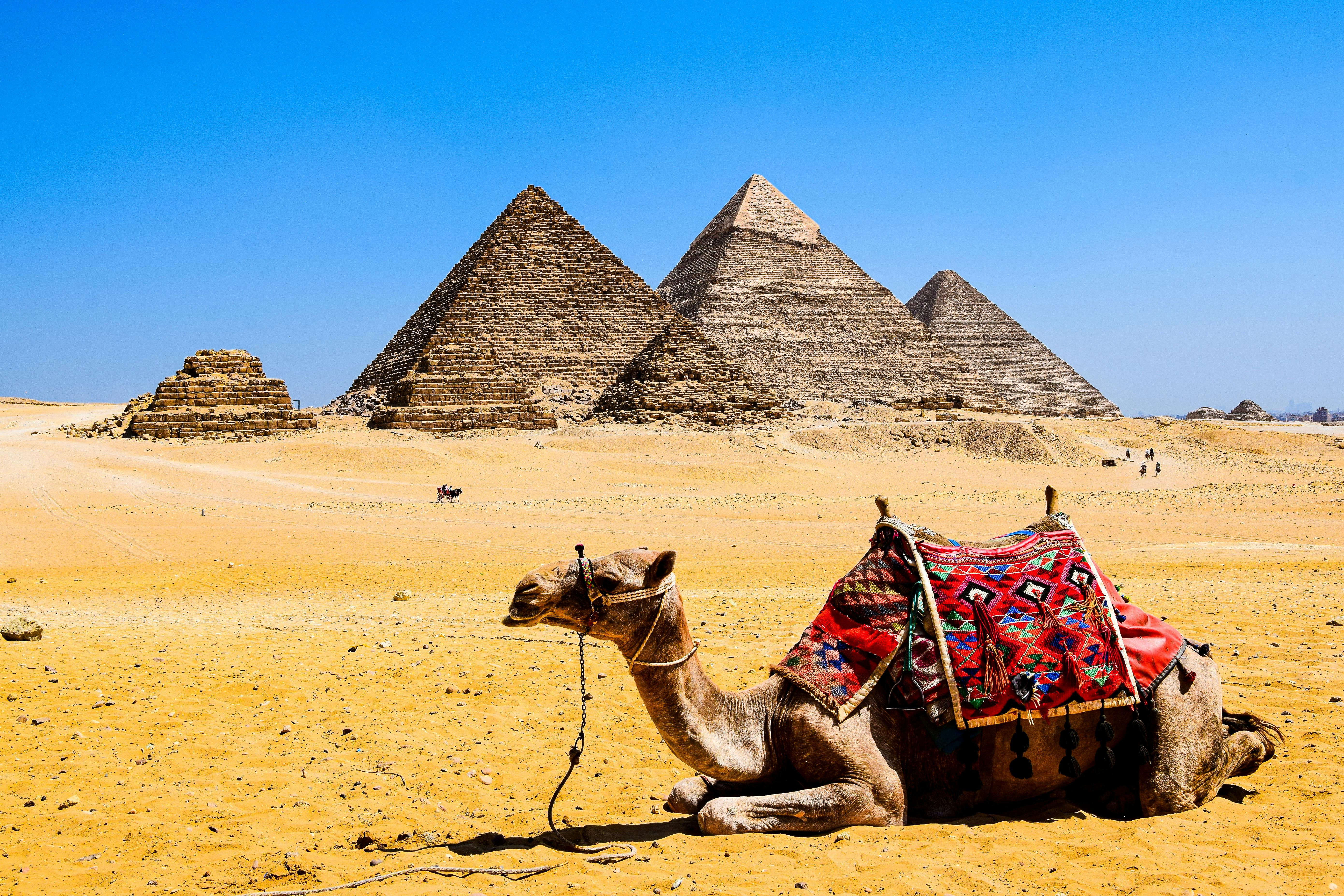 Egypt Caravan Photos, Download The BEST Free Egypt Caravan Stock Photos ...