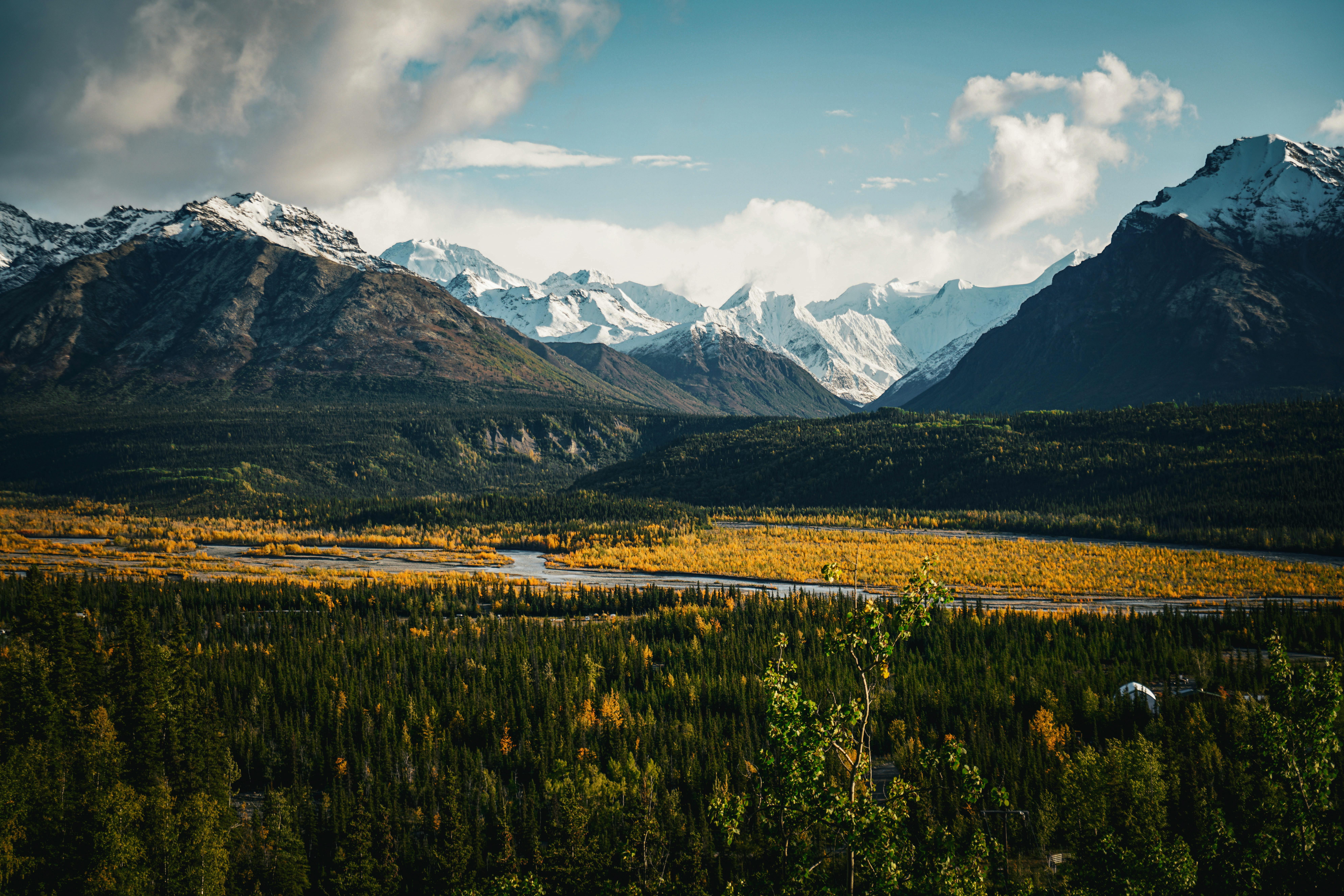 Forest and River with Mountains behind · Free Stock Photo