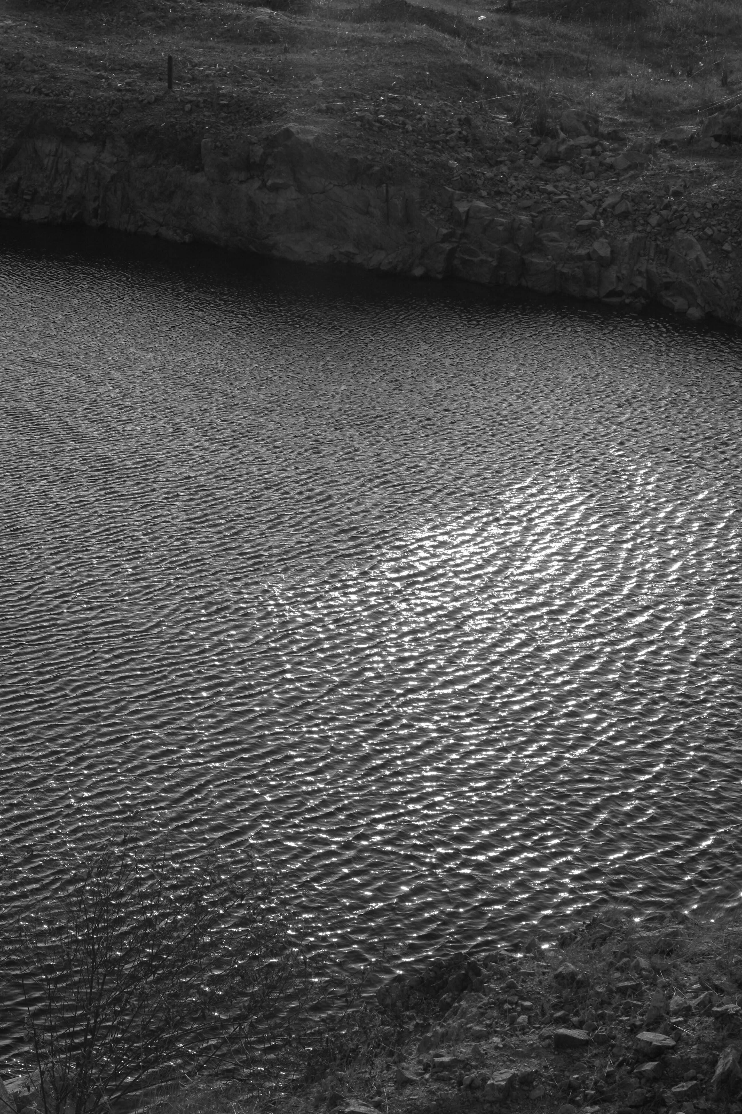 River in Black and White · Free Stock Photo