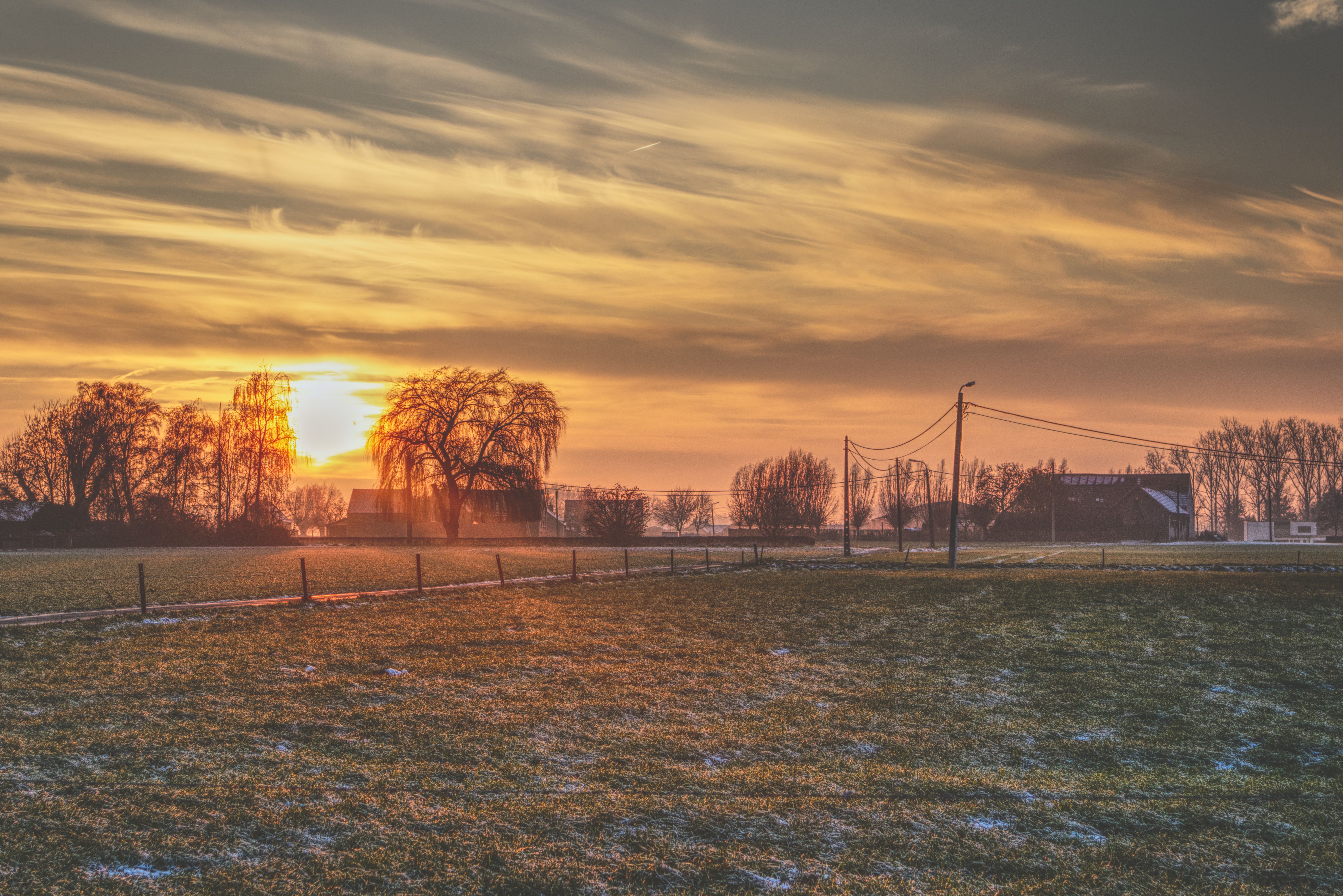 Pasture on Farm at Dusk · Free Stock Photo
