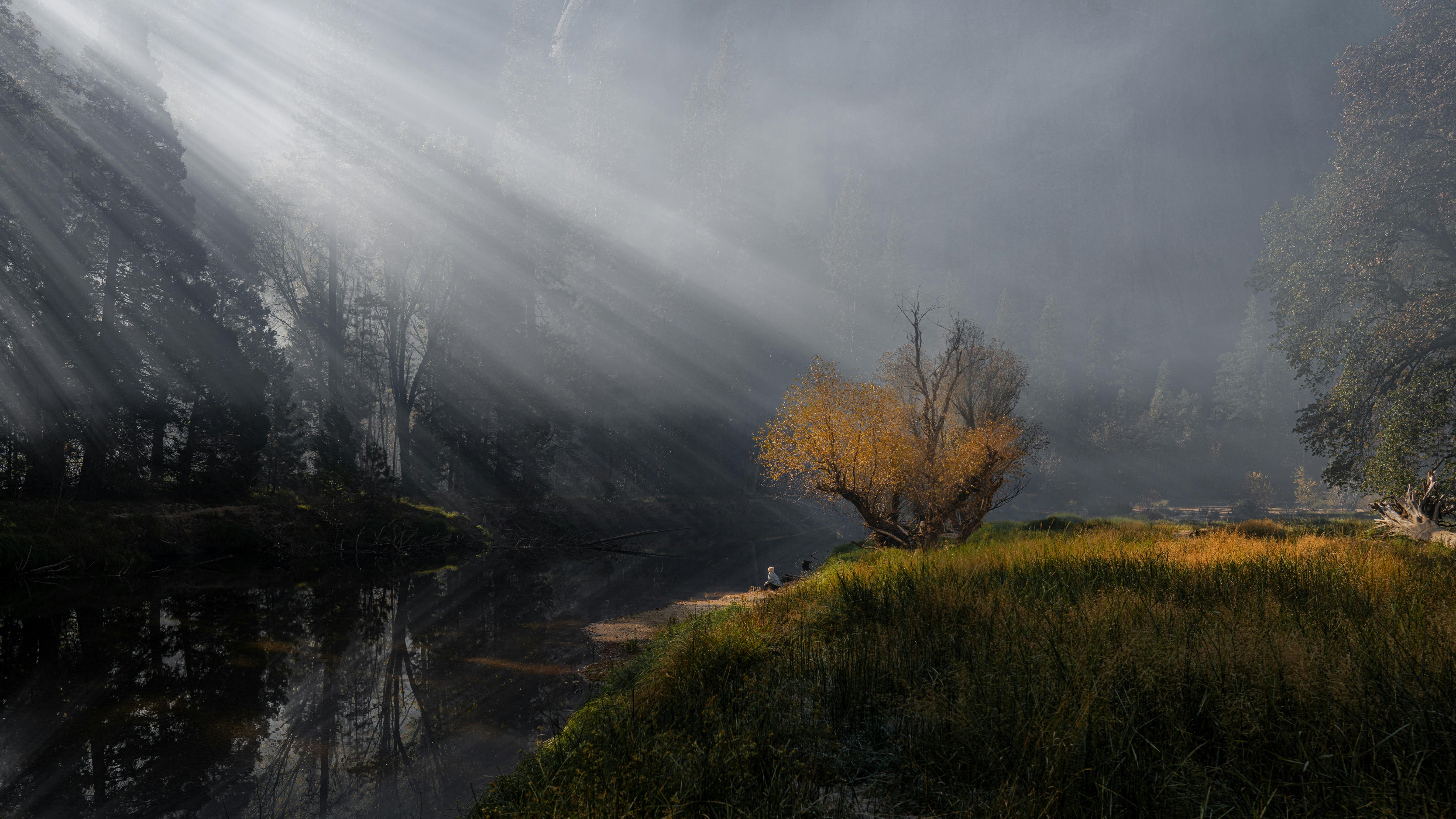 Wallpaper Pins Photos, Download The BEST Free Wallpaper Pins Stock ...