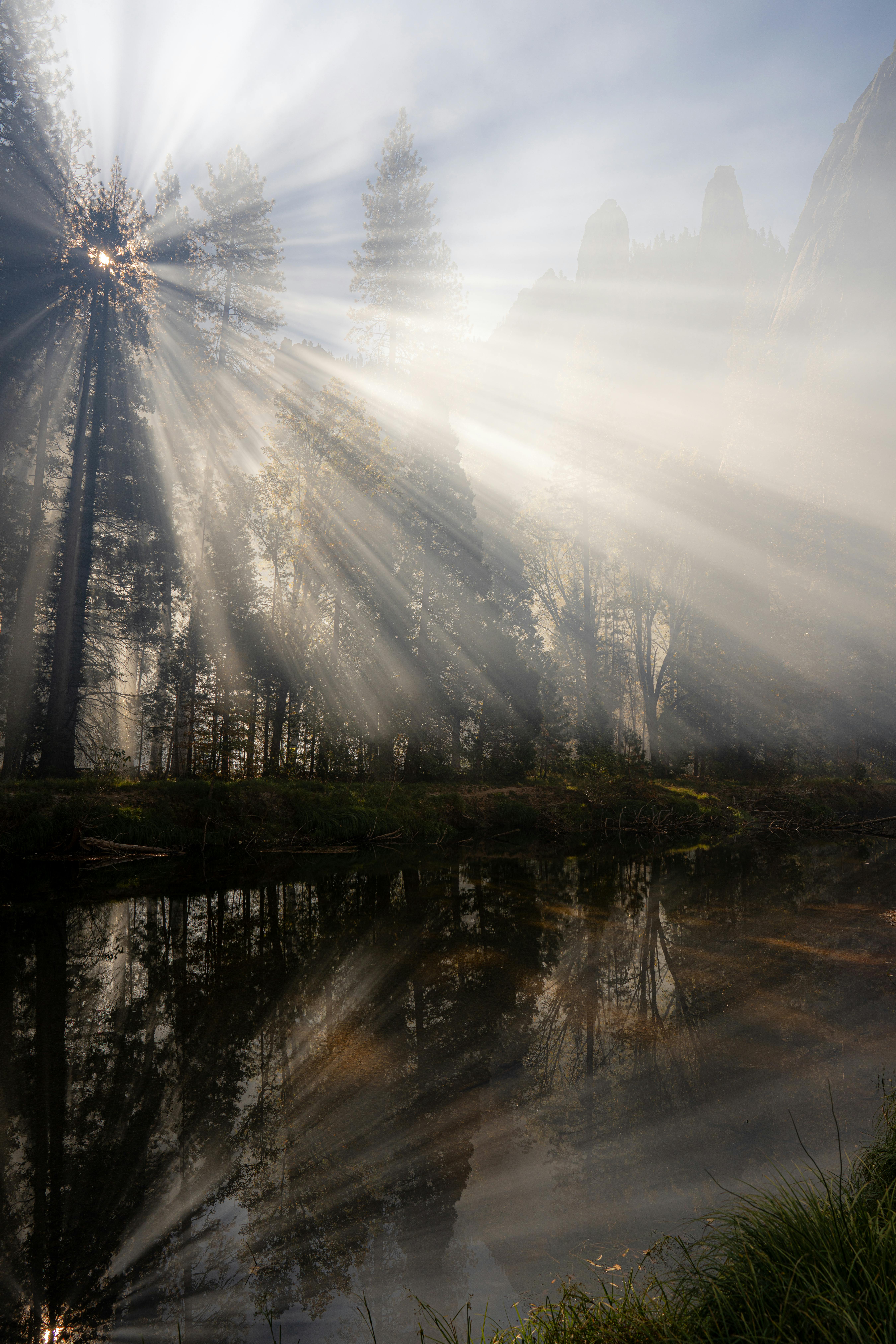 Sunset Sunbeams over River in Forest · Free Stock Photo