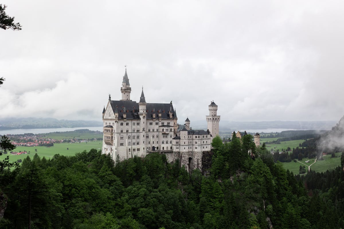 Narzi Germany 8k Wallpaper Photos, Download The BEST Free Narzi Germany ...