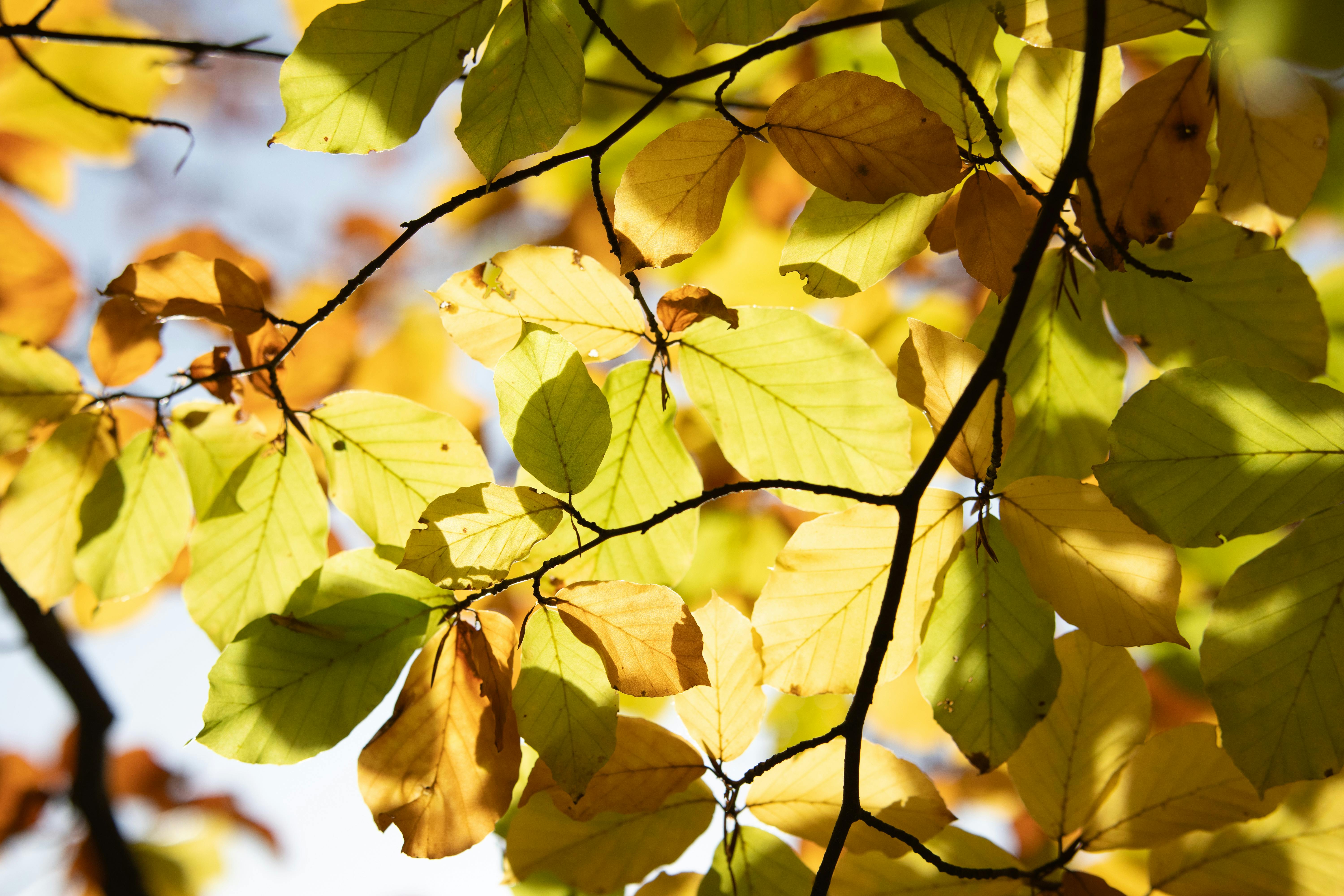 Piotr Baranowski - Fotografía