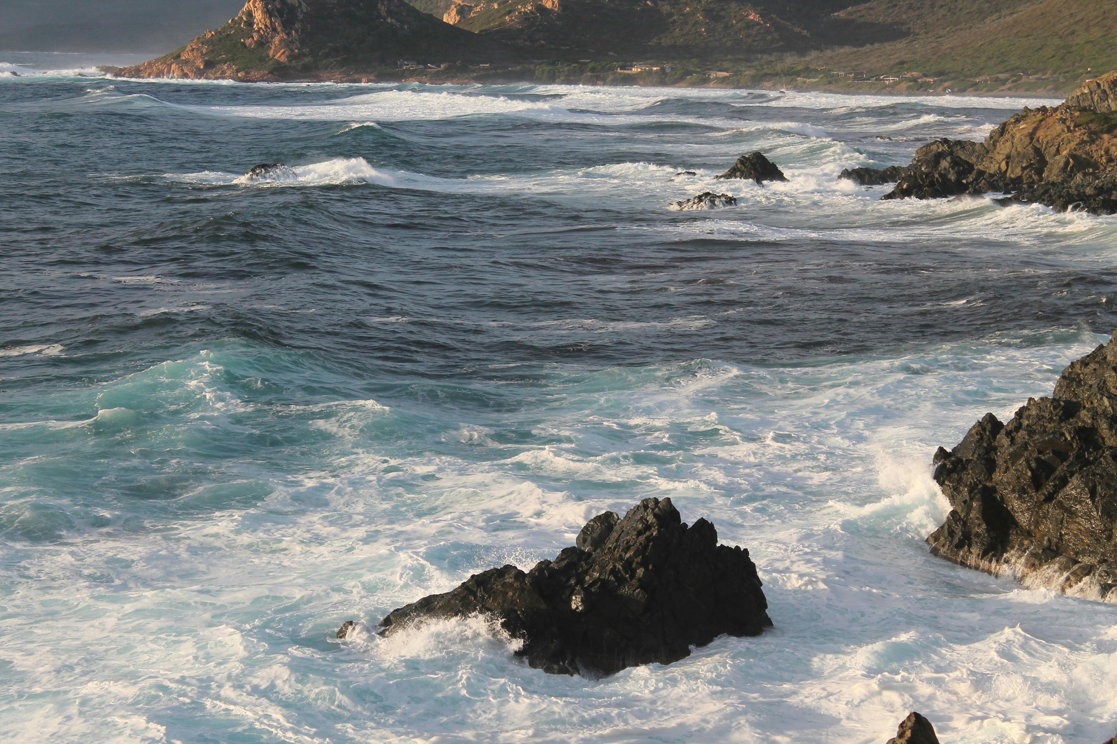 Rocks on Ocean Shore · Free Stock Photo