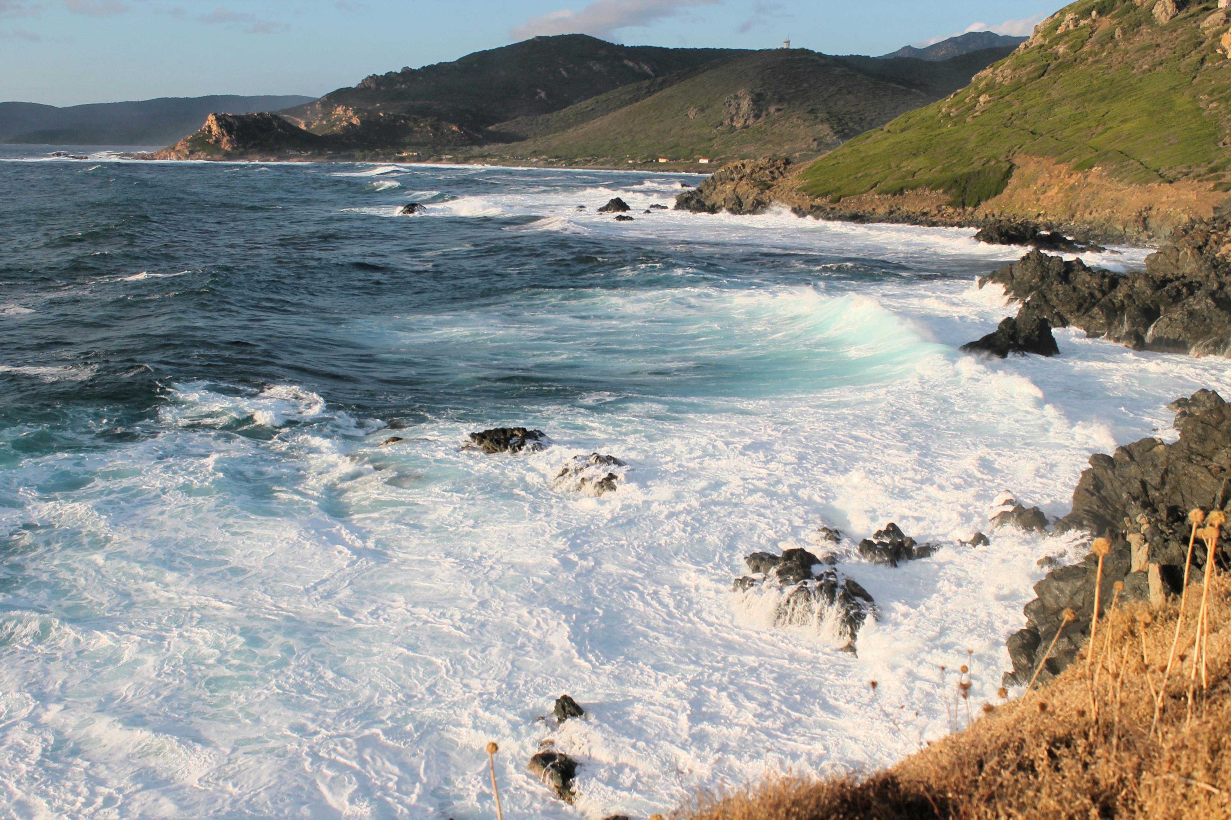 Outgoing Wave Photos, Download The BEST Free Outgoing Wave Stock Photos ...