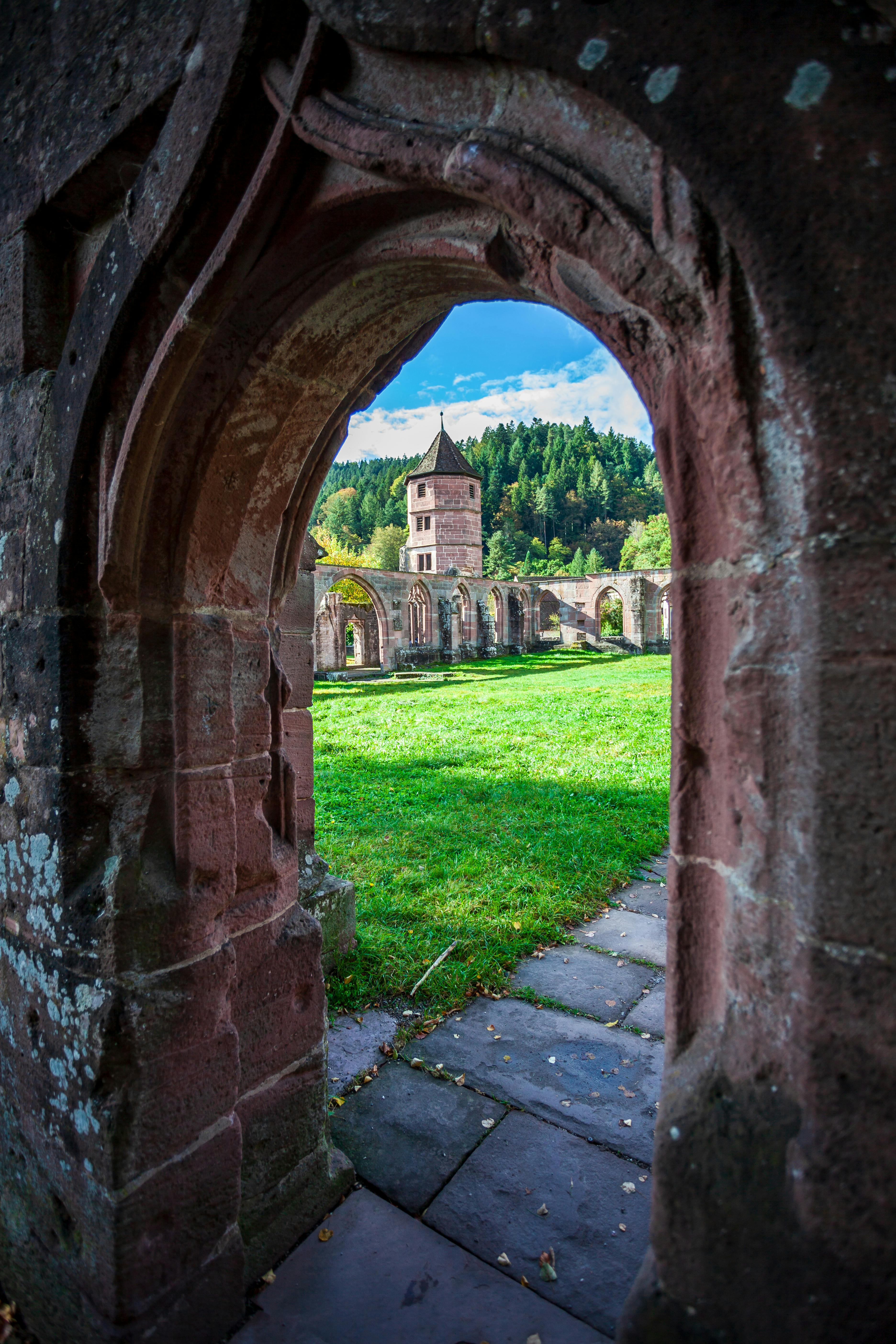 All Purpose Photos, Download The BEST Free All Purpose Stock Photos ...