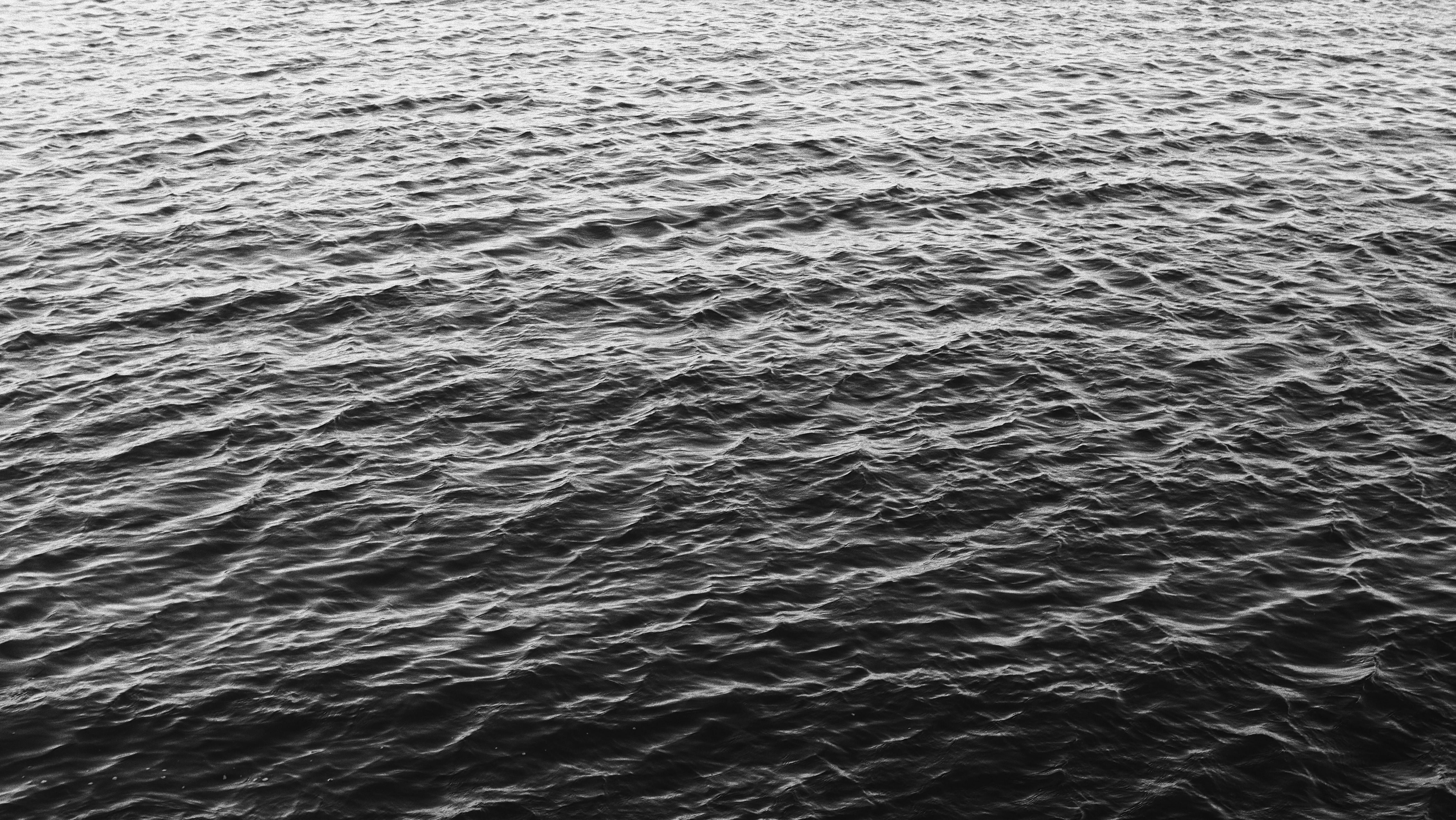 A black and white photo of the water · Free Stock Photo