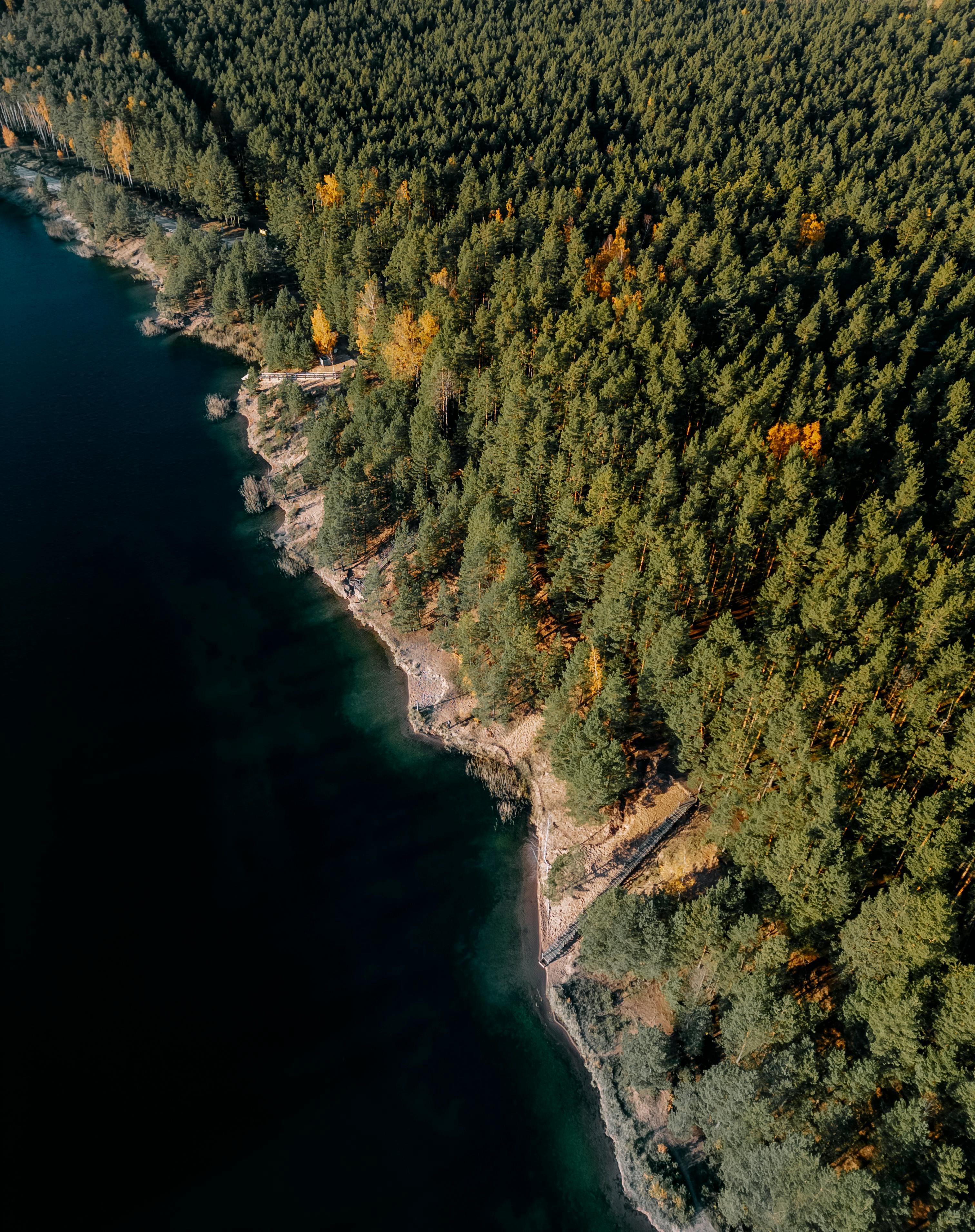 It Environment Photos, Download The BEST Free It Environment Stock ...