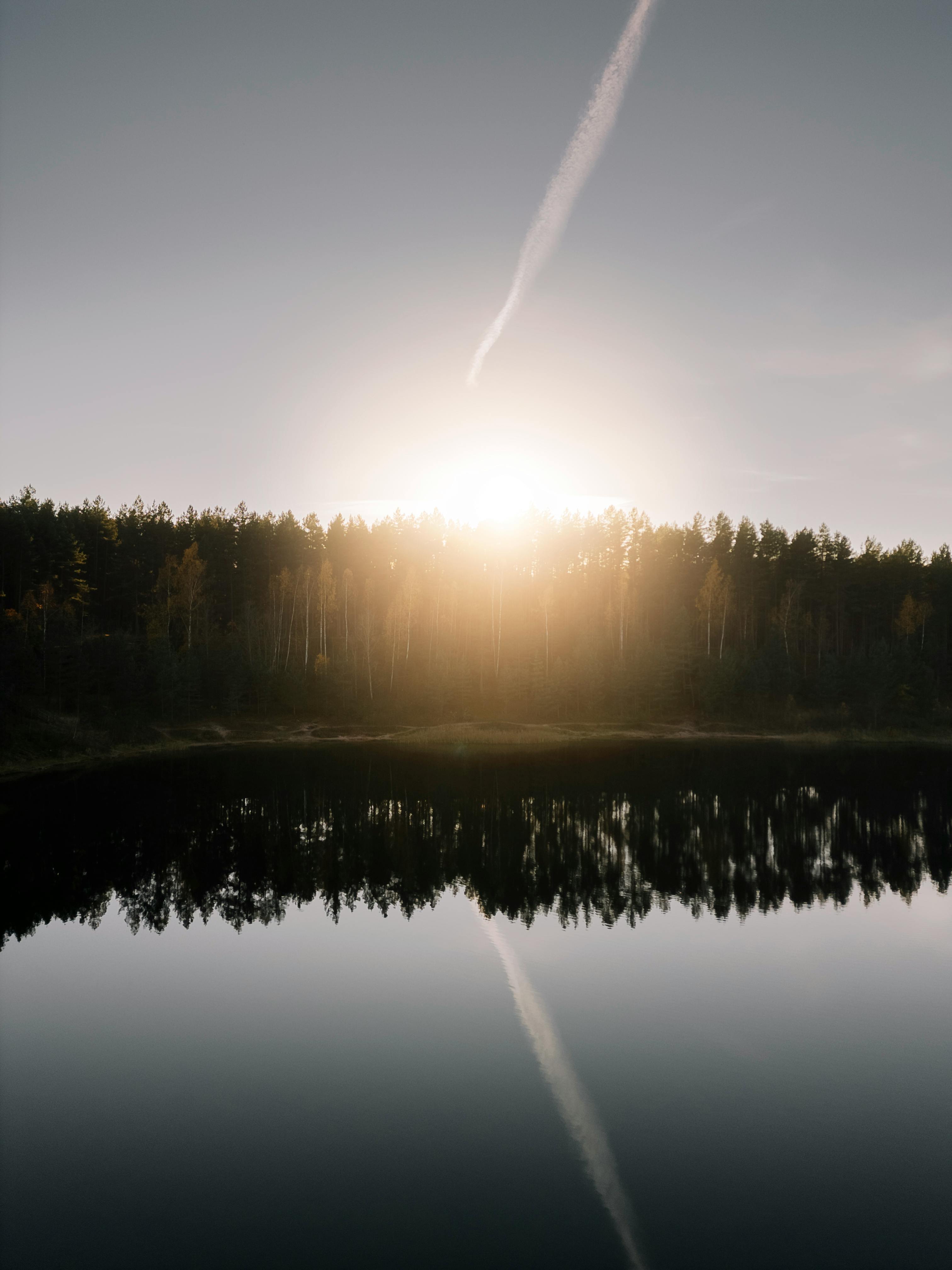 Sun over Trees on Lakeside · Free Stock Photo