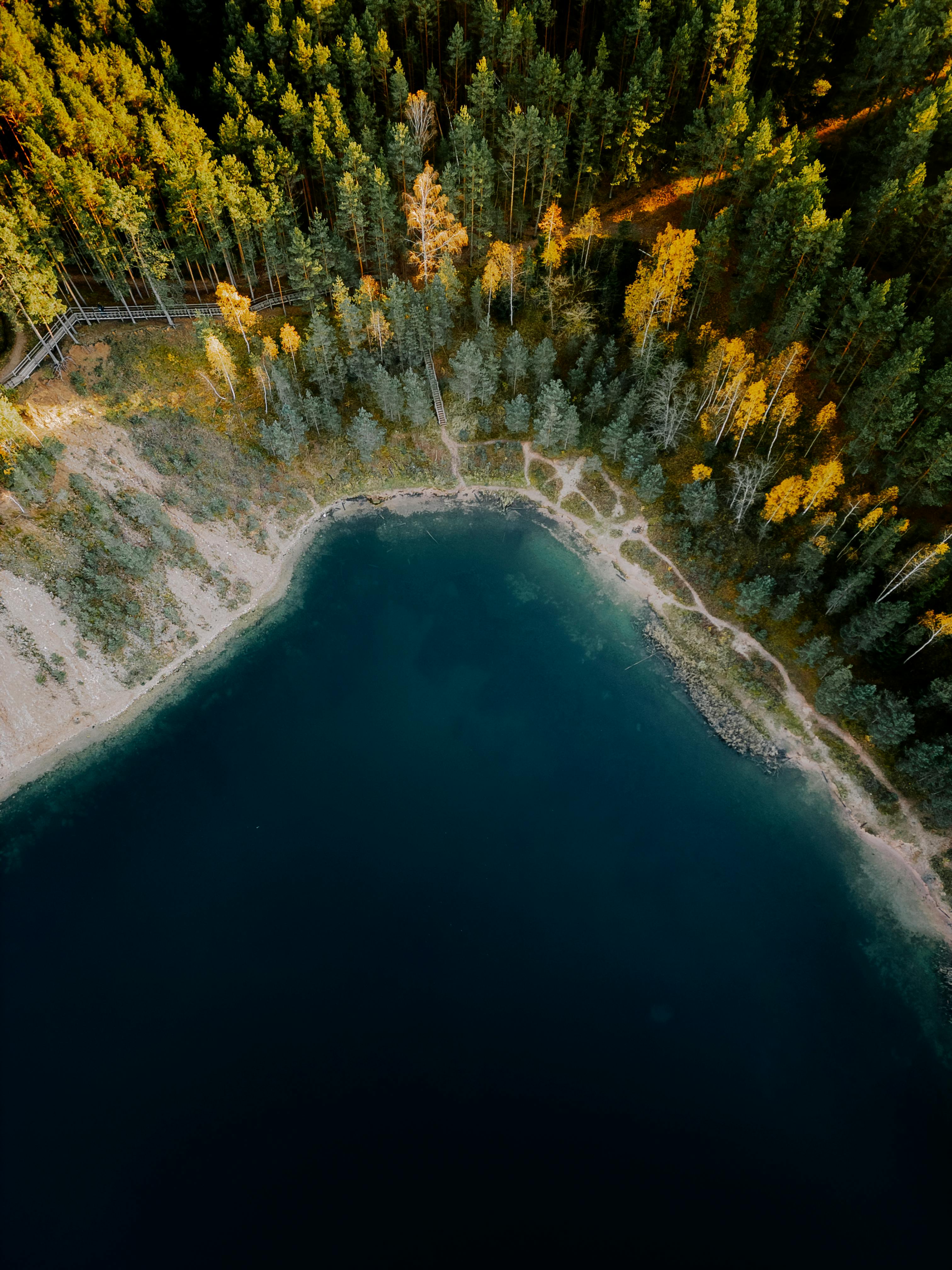 Top View of a Body of Water and Forest · Free Stock Photo