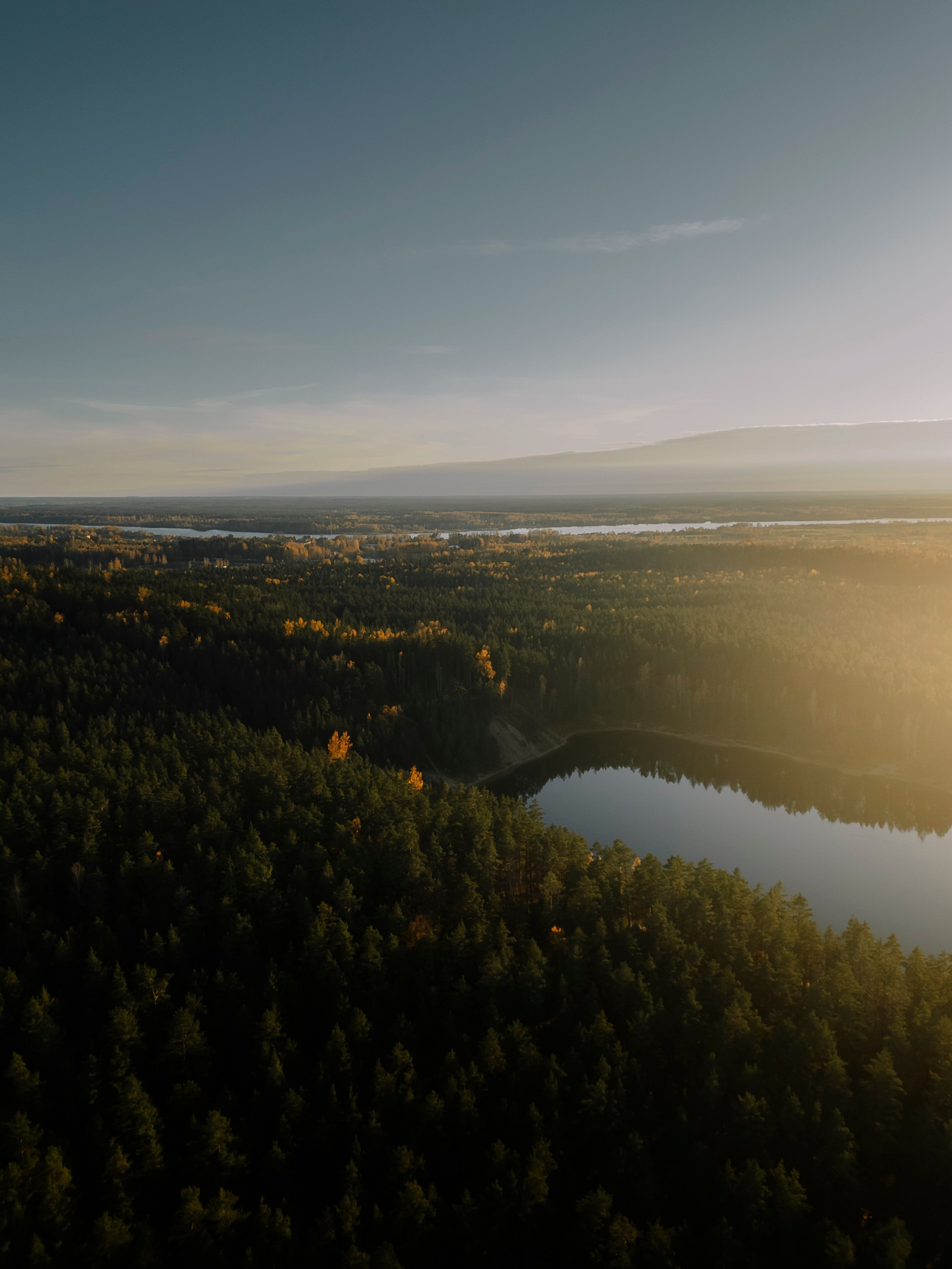 Deep Forest and Lake on Plains · Free Stock Photo
