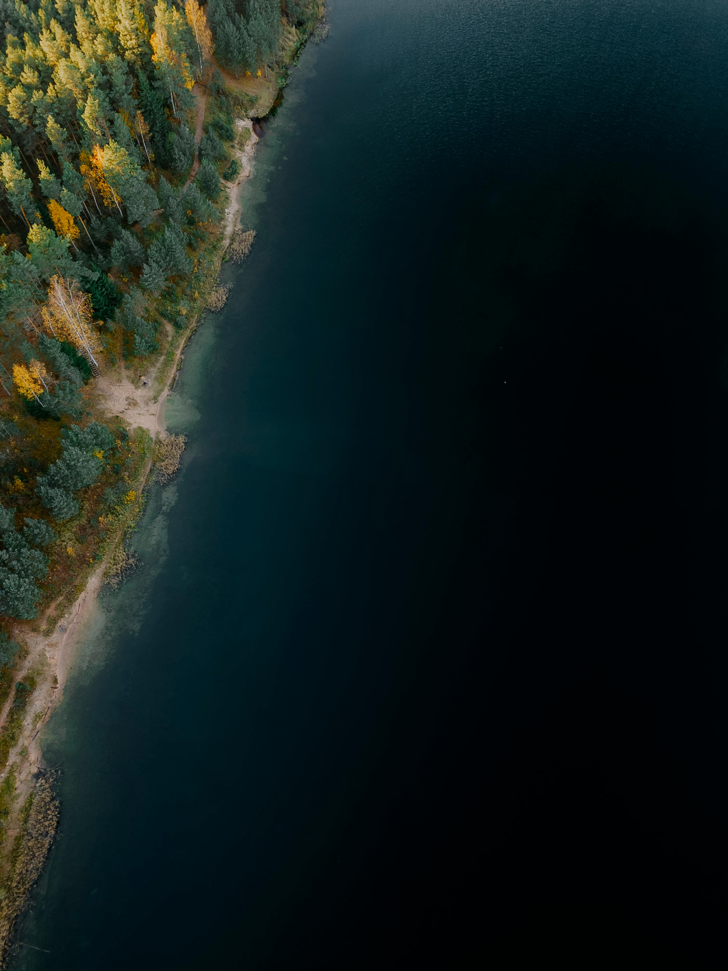 Aerial View of Dark Deep Waters of a Lake Near the Forest · Free Stock ...