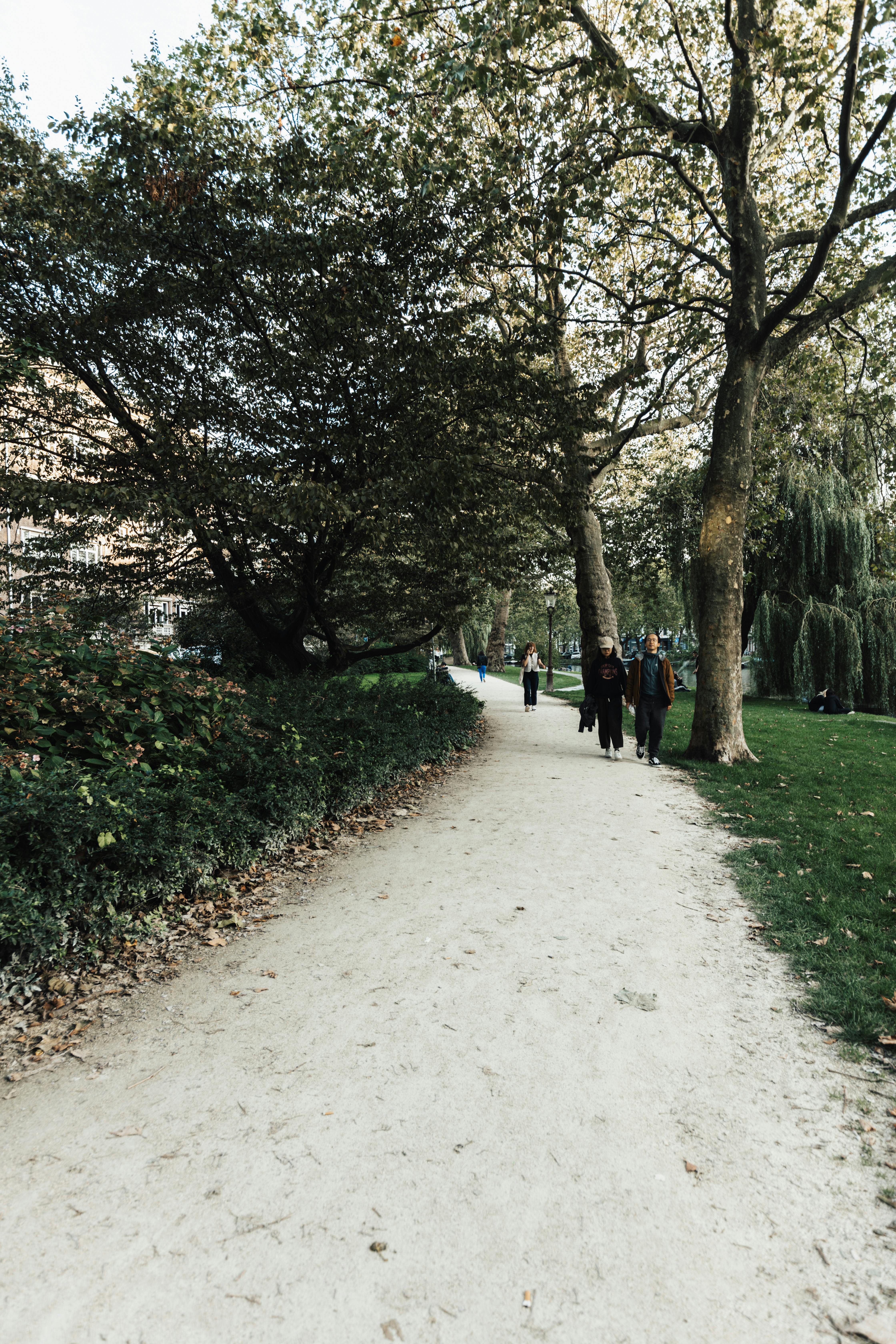 People Walking on the Path in the Park · Free Stock Photo