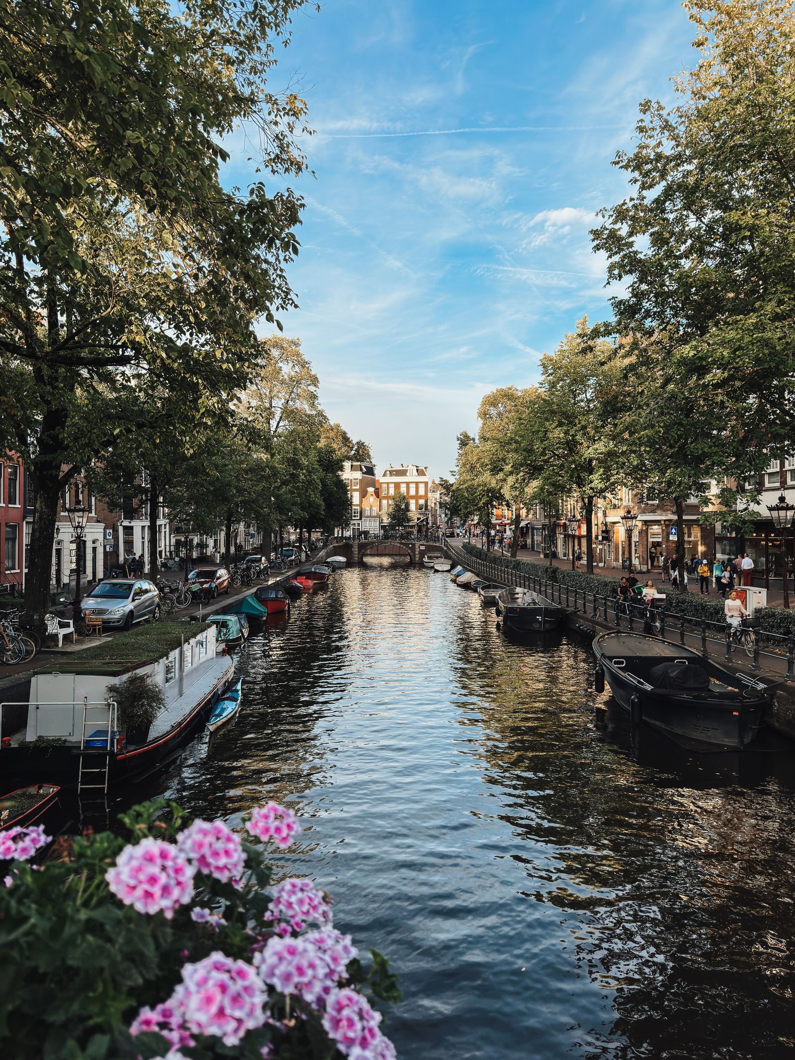 The Netherlands Photos, Download The BEST Free The Netherlands Stock ...