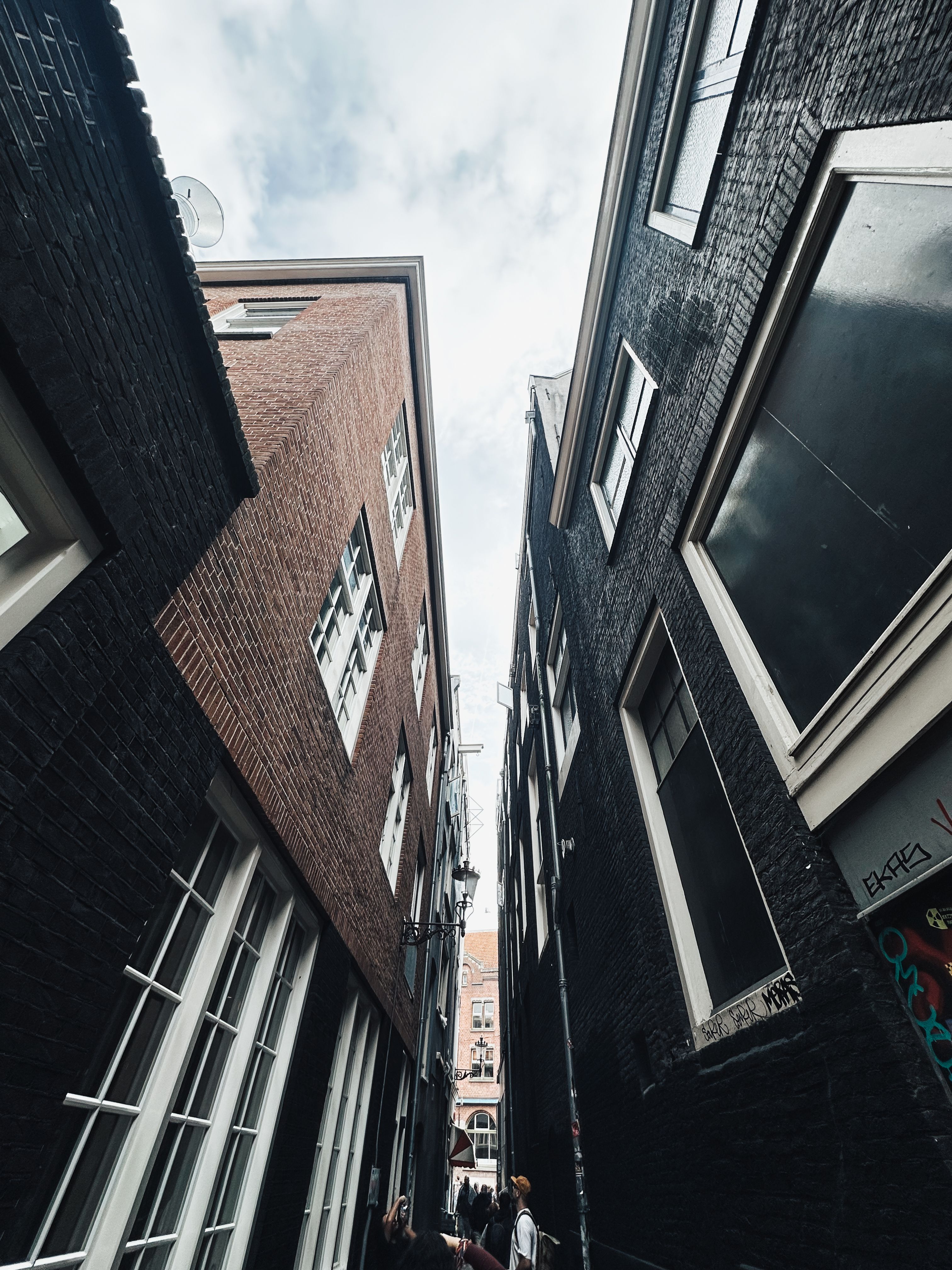 Blurred Picture of a Bird Flying between Buildings in City · Free Stock ...