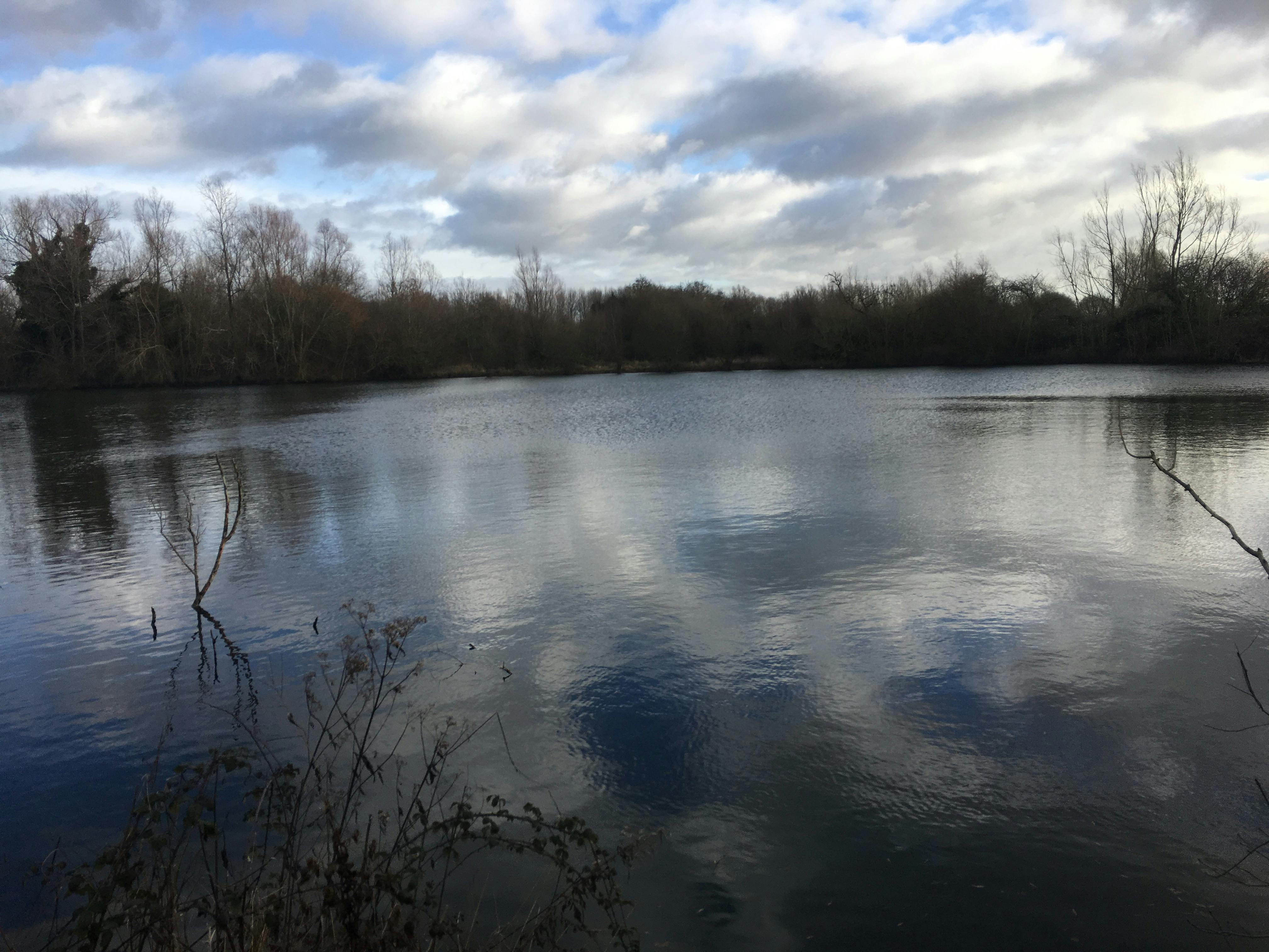 Foto de stock gratuita sobre alto, arquitecto moderno, arquitectura ...