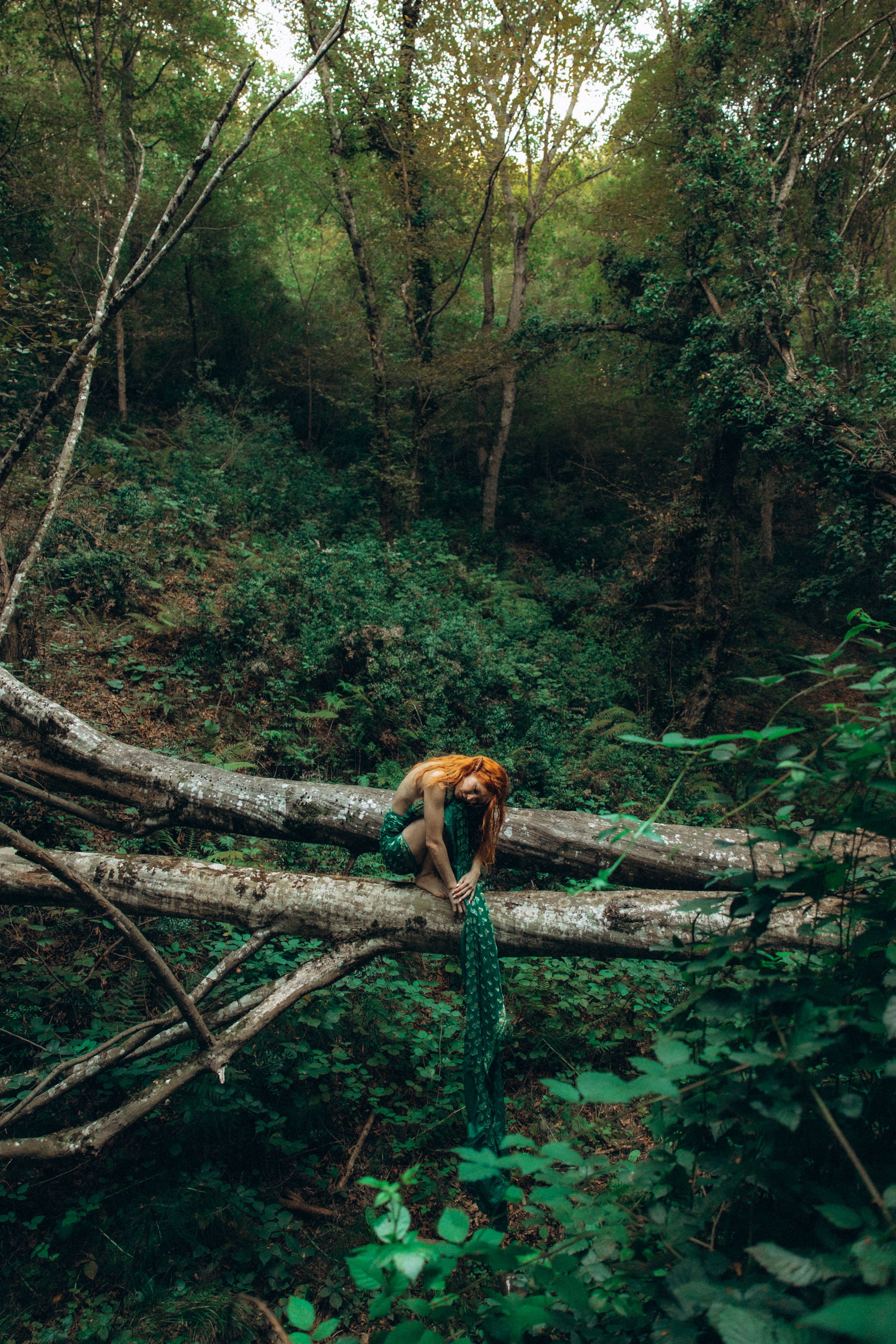 Mysterious Forest Scene with Person on Fallen Tree · Free Stock Photo