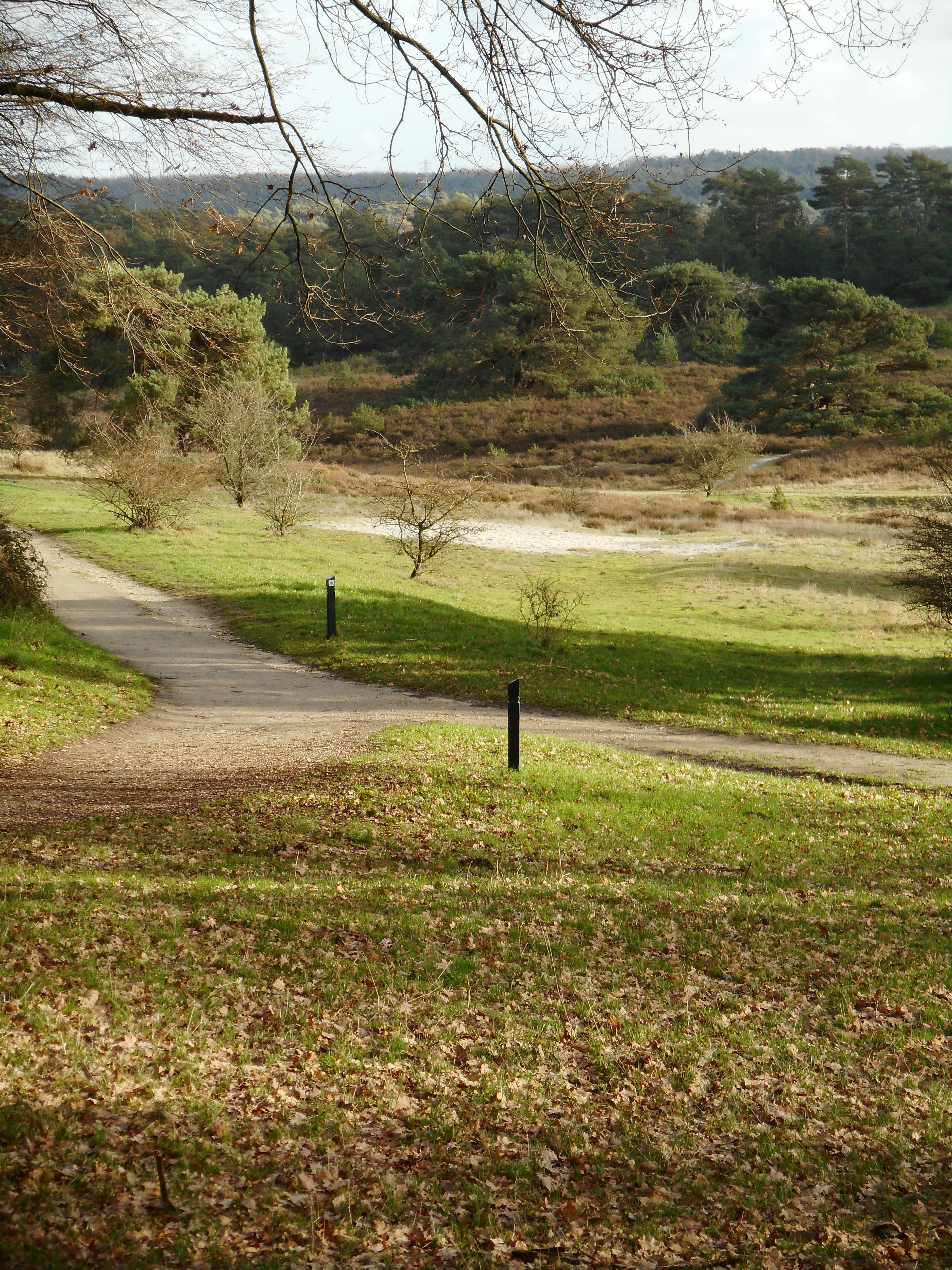 Footpath and Grass in Countryside · Free Stock Photo