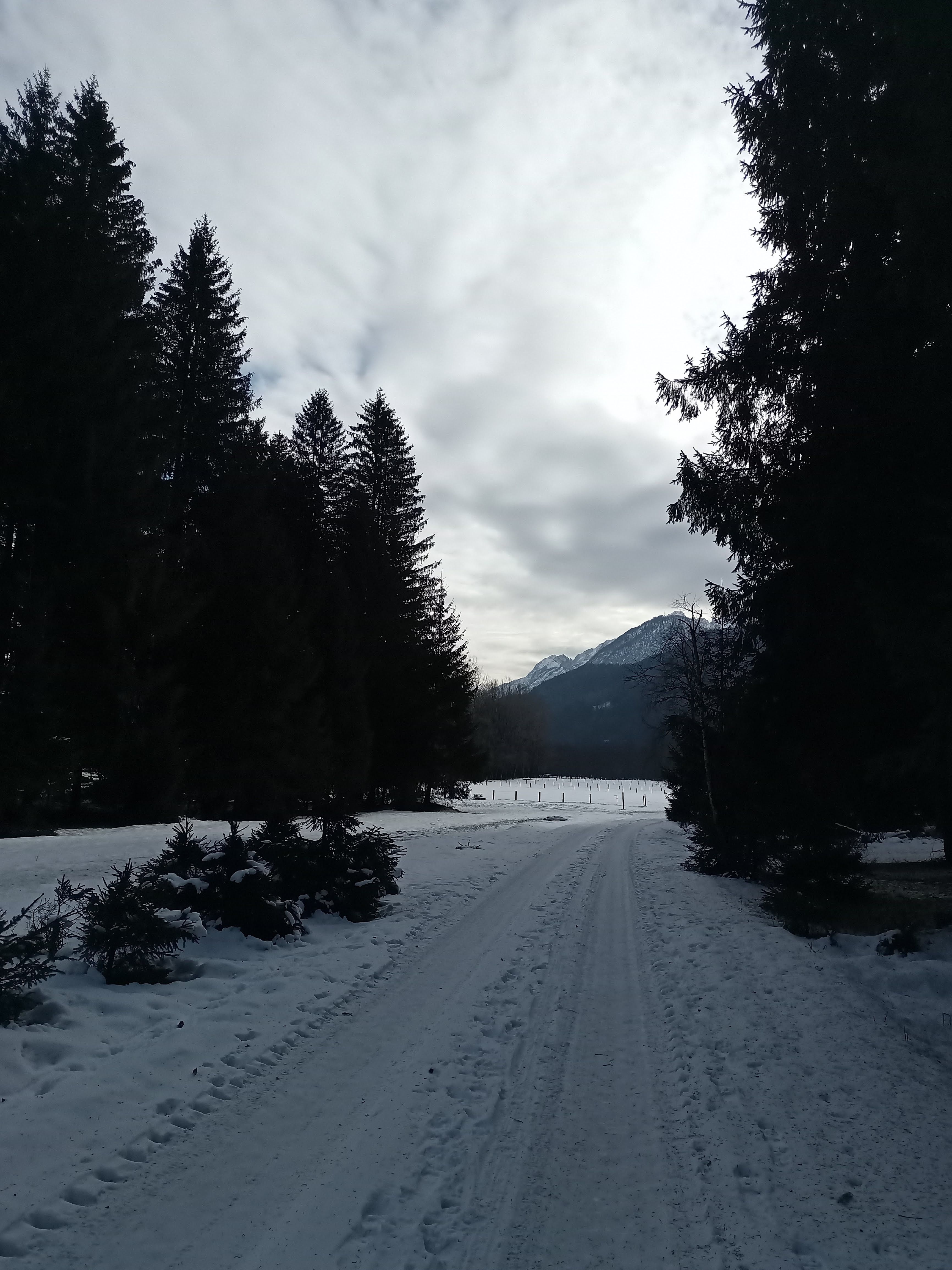 Pathway Covered With Snow Cutting Through Snow-Covered Forest · Free ...