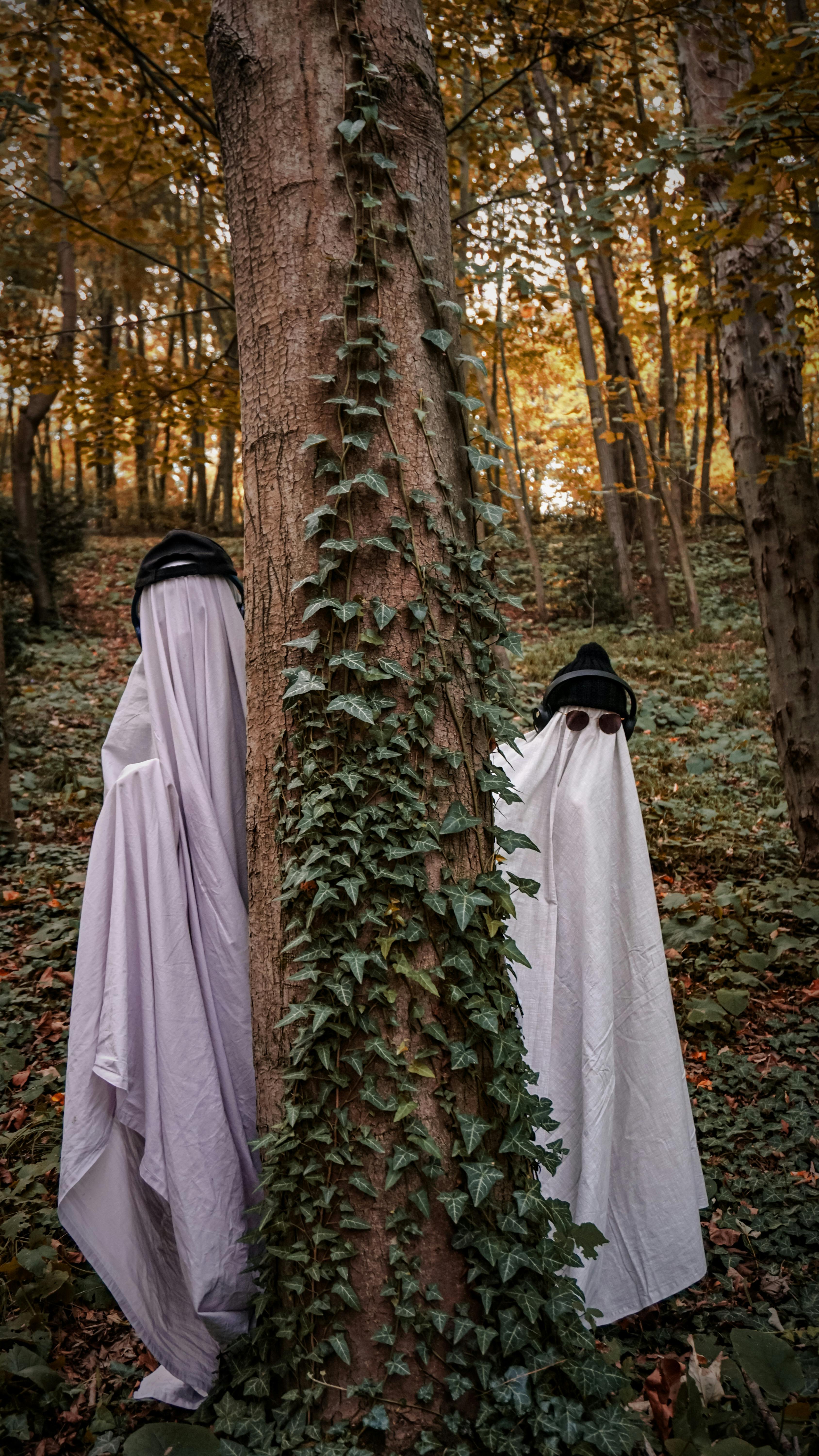 Ghosts Hiding Behind a Tree in a Haunted Forest · Free Stock Photo