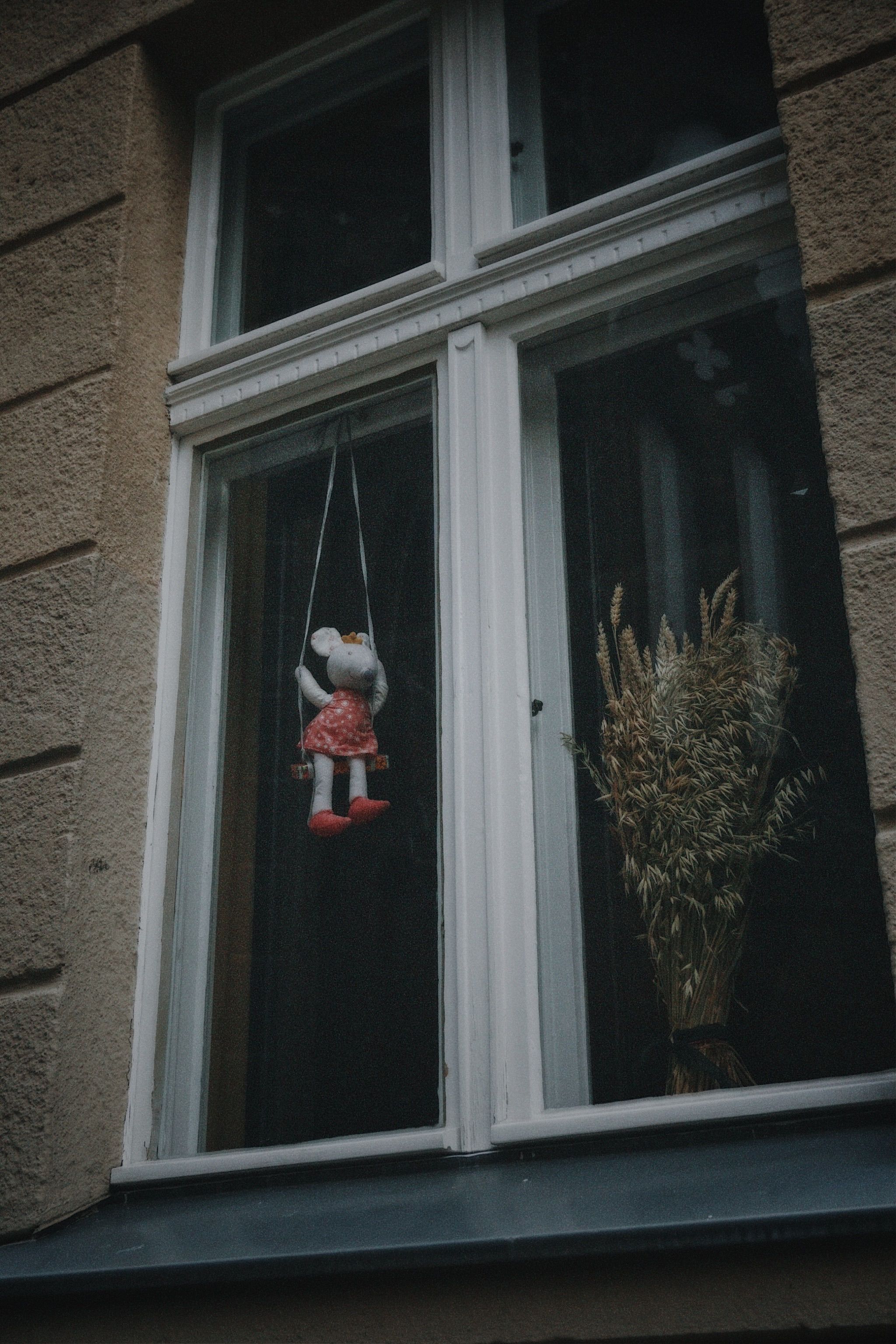 Plant and Toy Hanging in Windows · Free Stock Photo