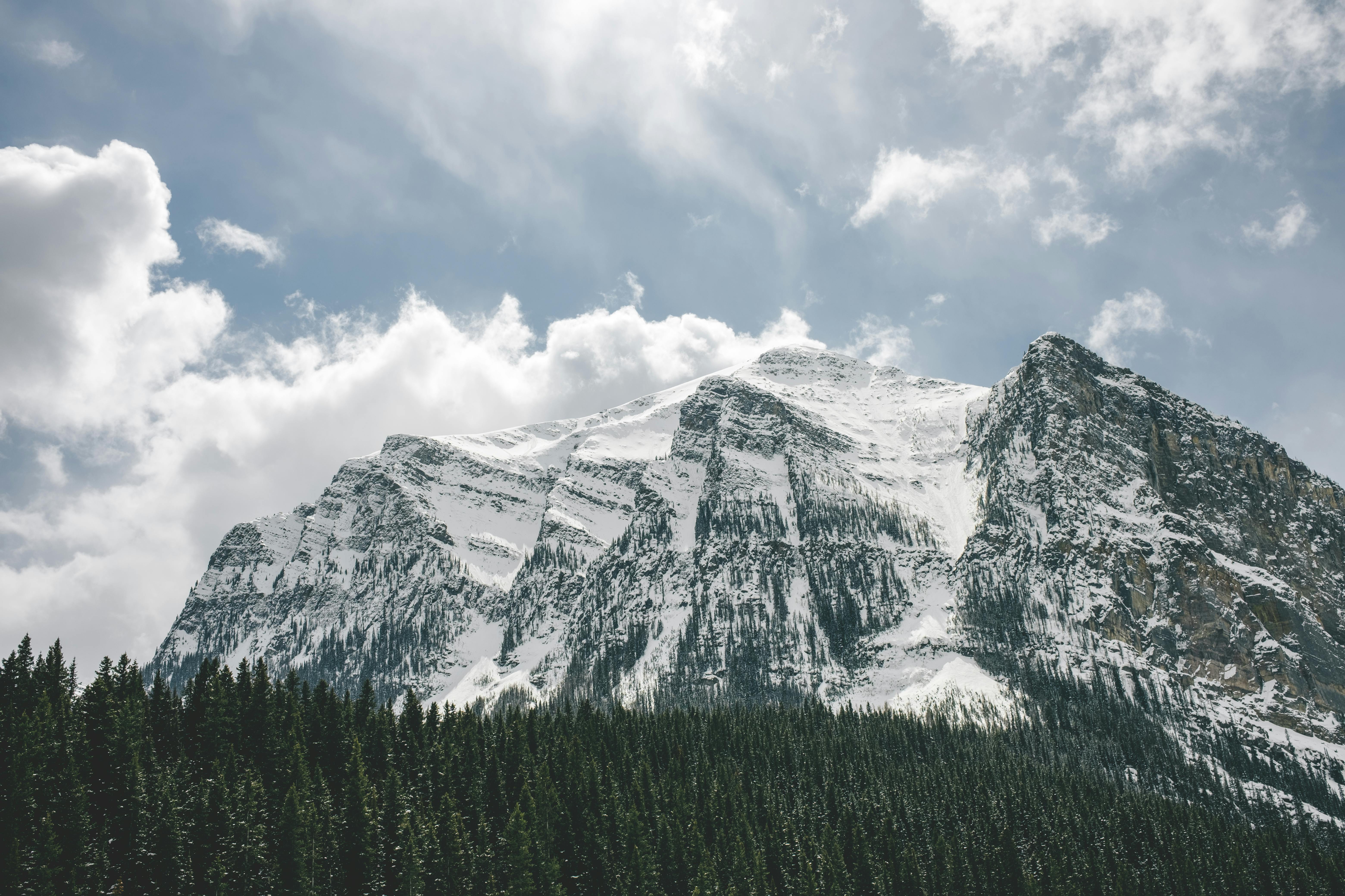 Rocky Snowy Mountain by Trees in Banff National Park in Canada · Free ...