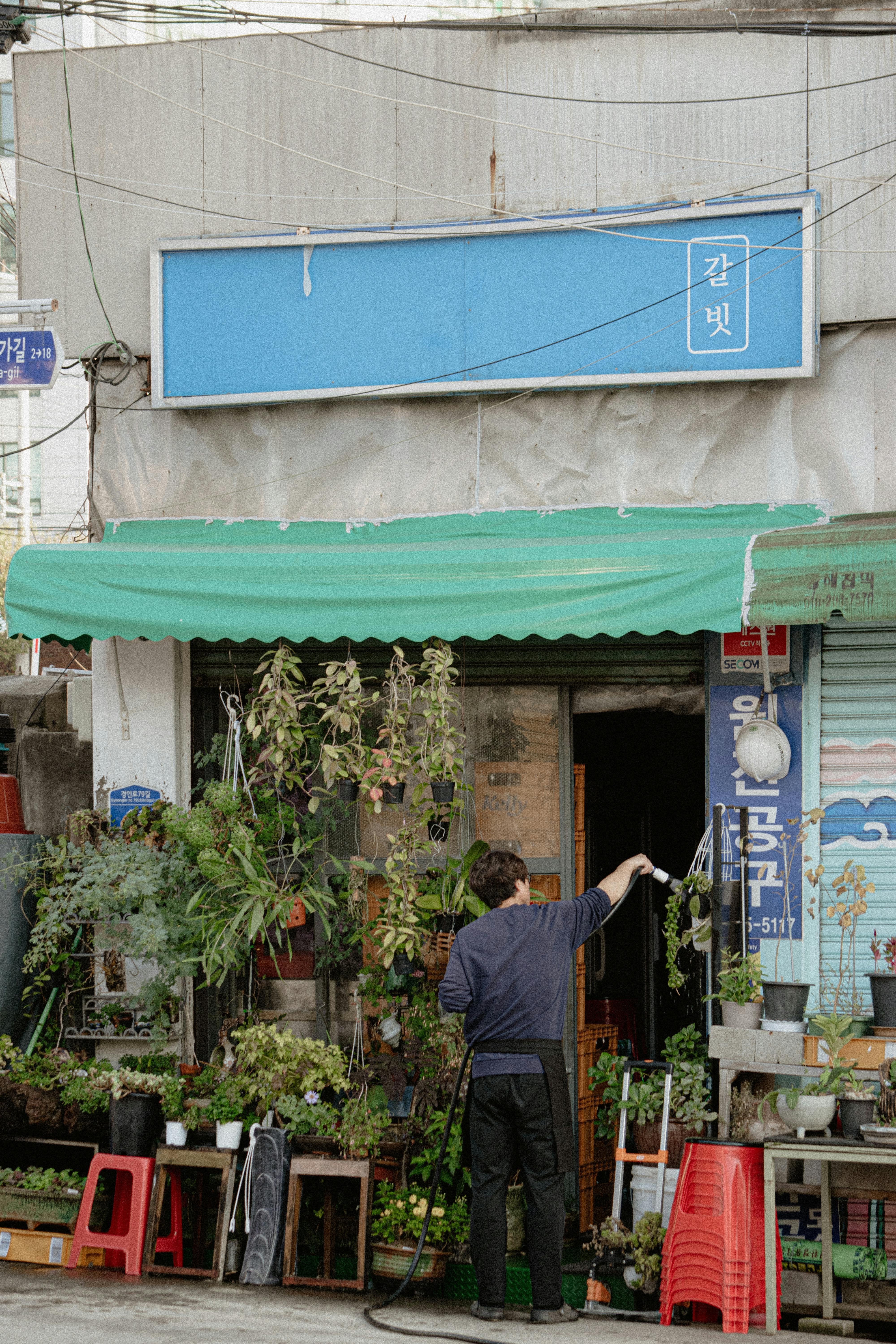 Triangle Planting Photos, Download The BEST Free Triangle Planting ...