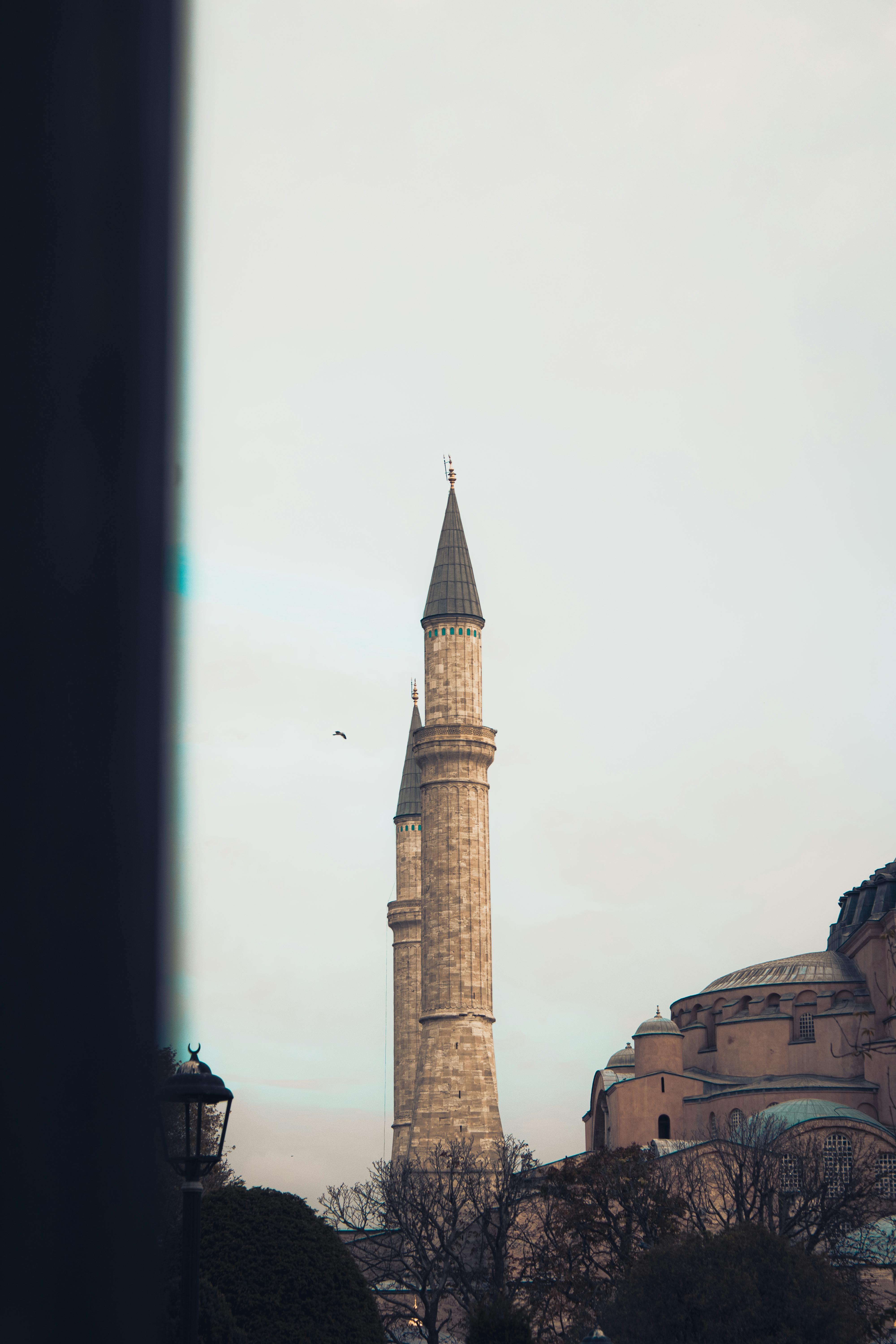 Wizard Tower Photos, Download The BEST Free Wizard Tower Stock Photos ...