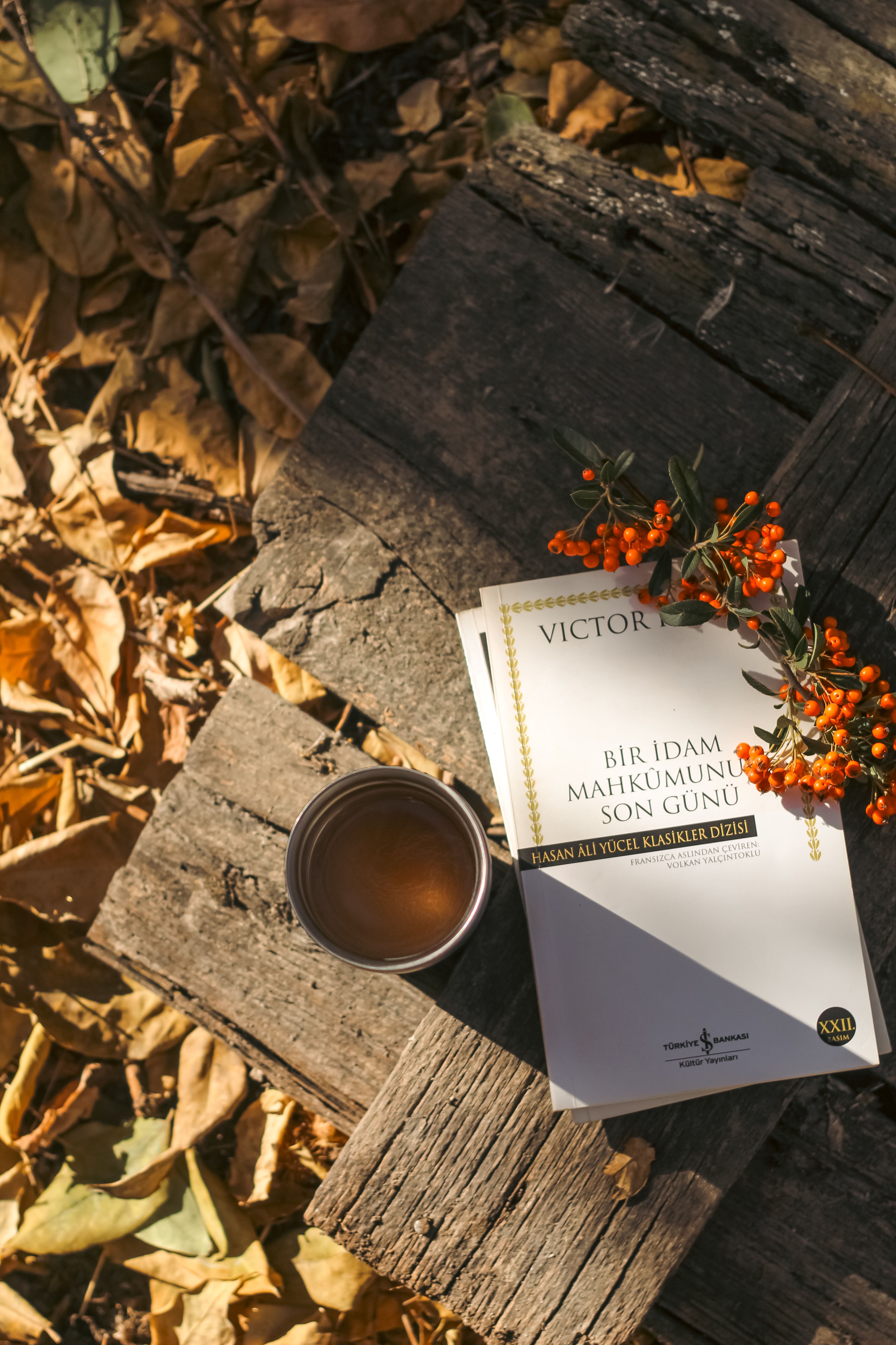 Cup of Tea with Books on Hardwood in Autumn · Free Stock Photo