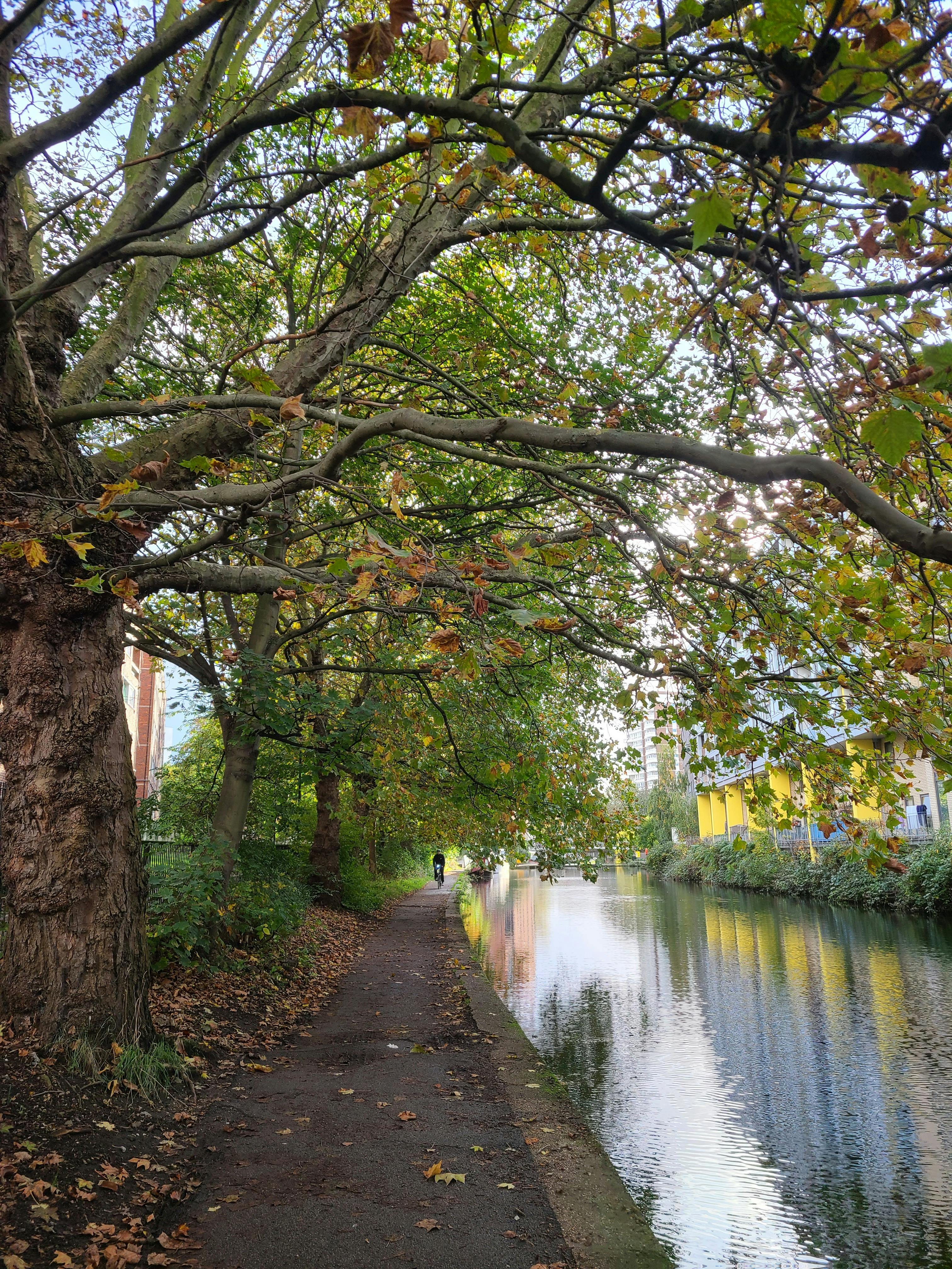 Footpath Along River in Town · Free Stock Photo