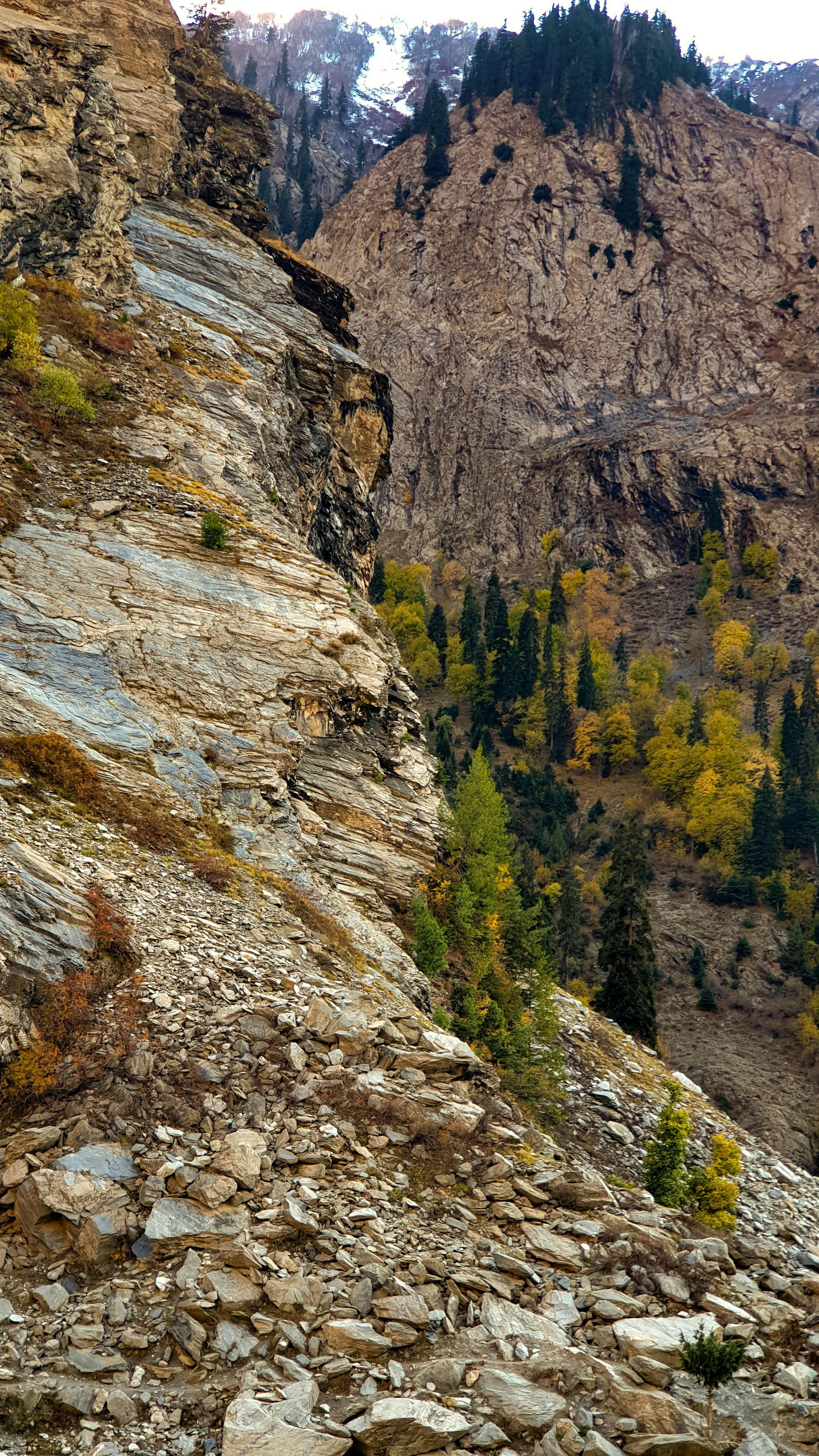 Steep Rocky Mountainside · Free Stock Photo