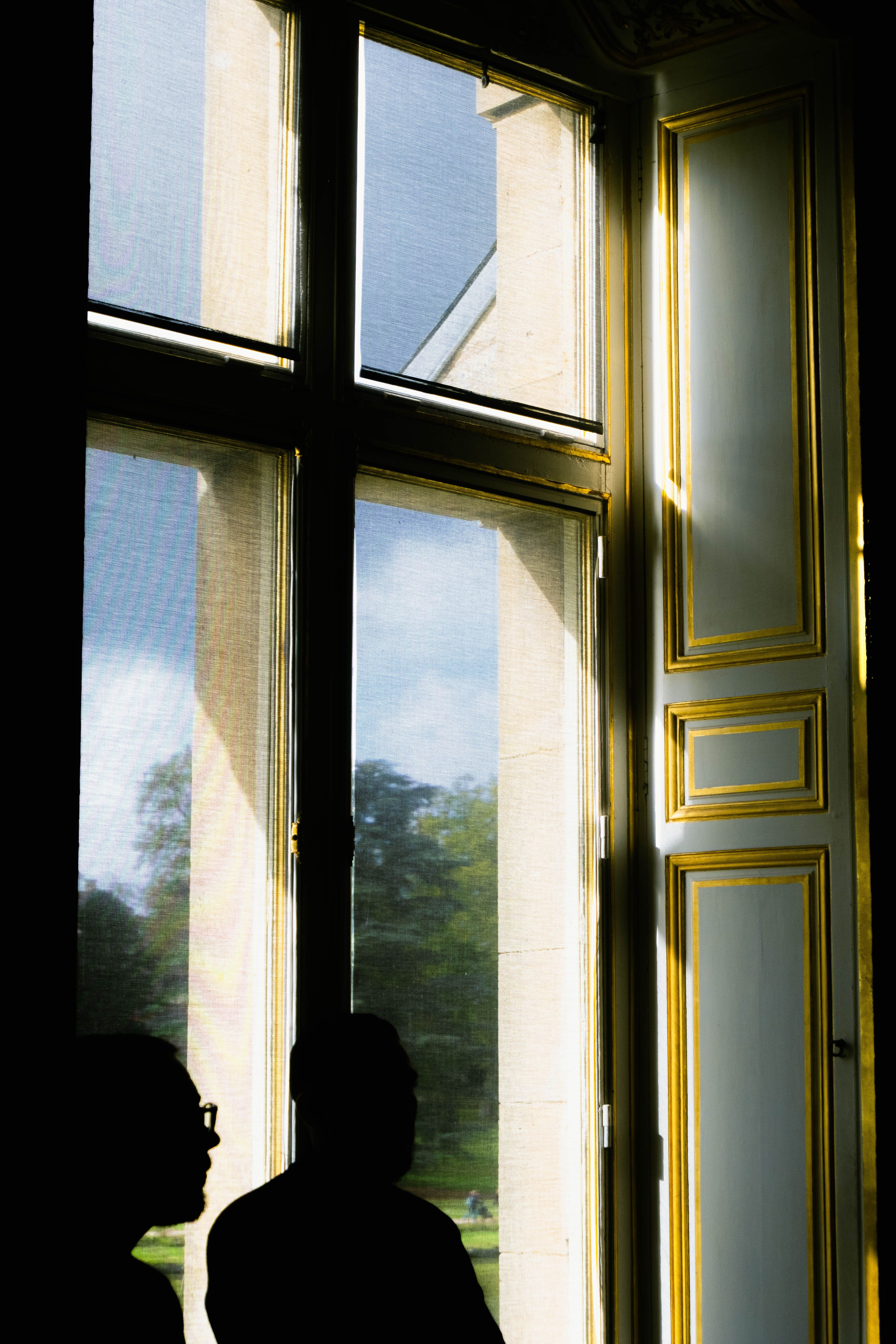 Silhouettes of Men at a Window Decorated with Golden Frames · Free ...