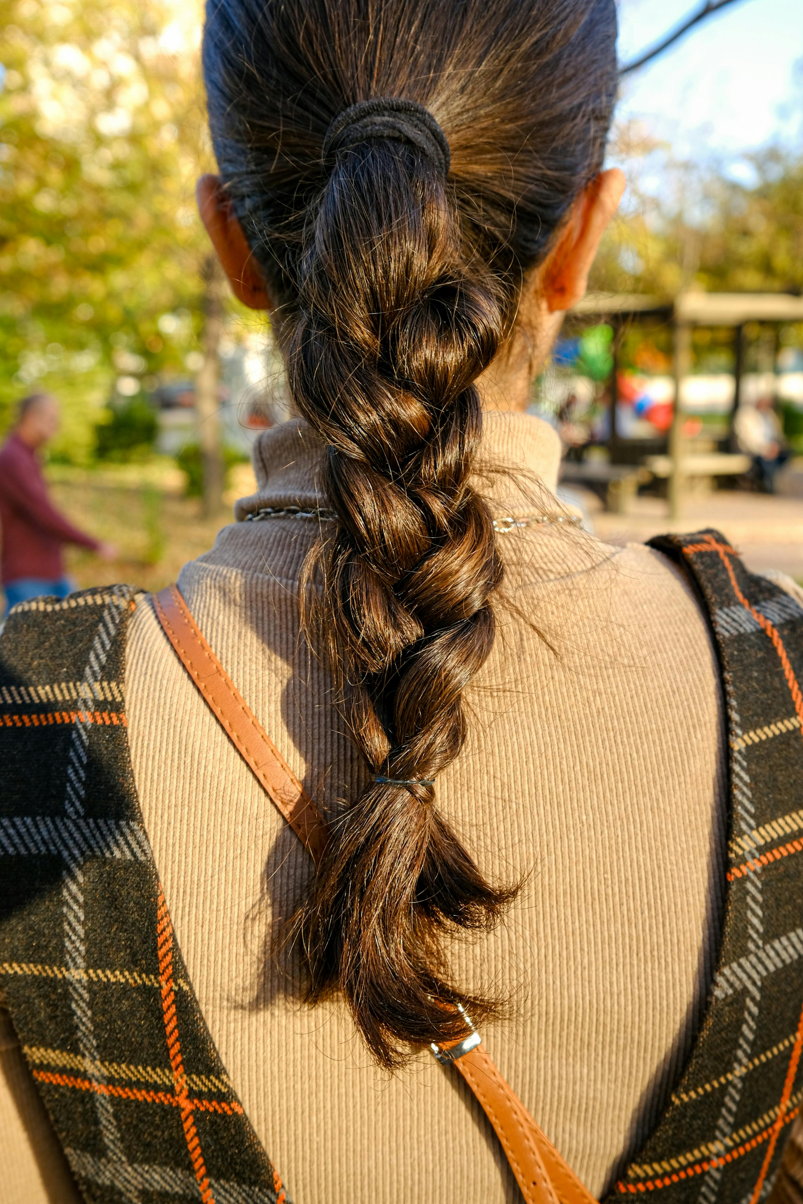 Back View of a Brunette with Braided Hair · Free Stock Photo