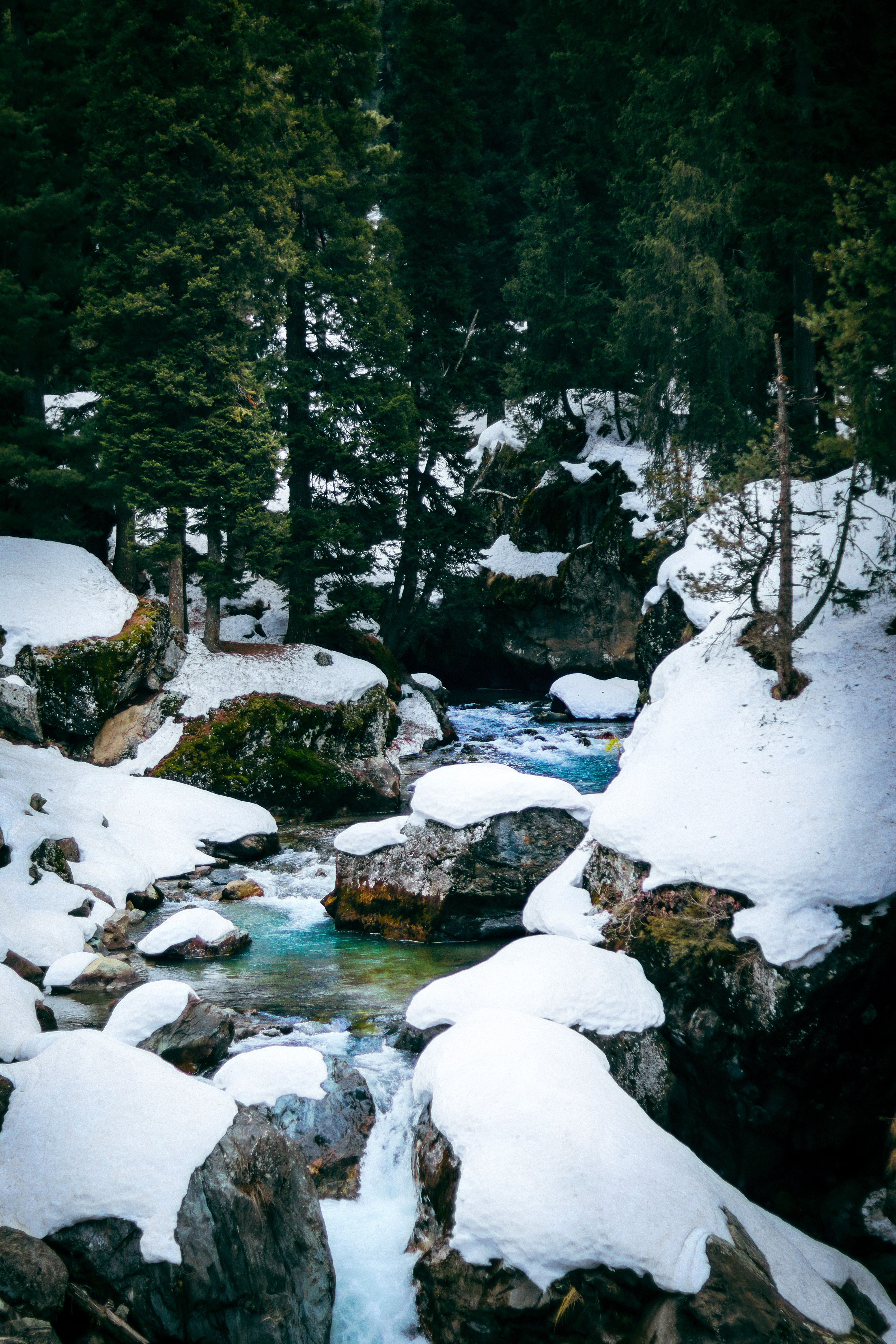 Pahalgam Forest Photos, Download The BEST Free Pahalgam Forest Stock ...