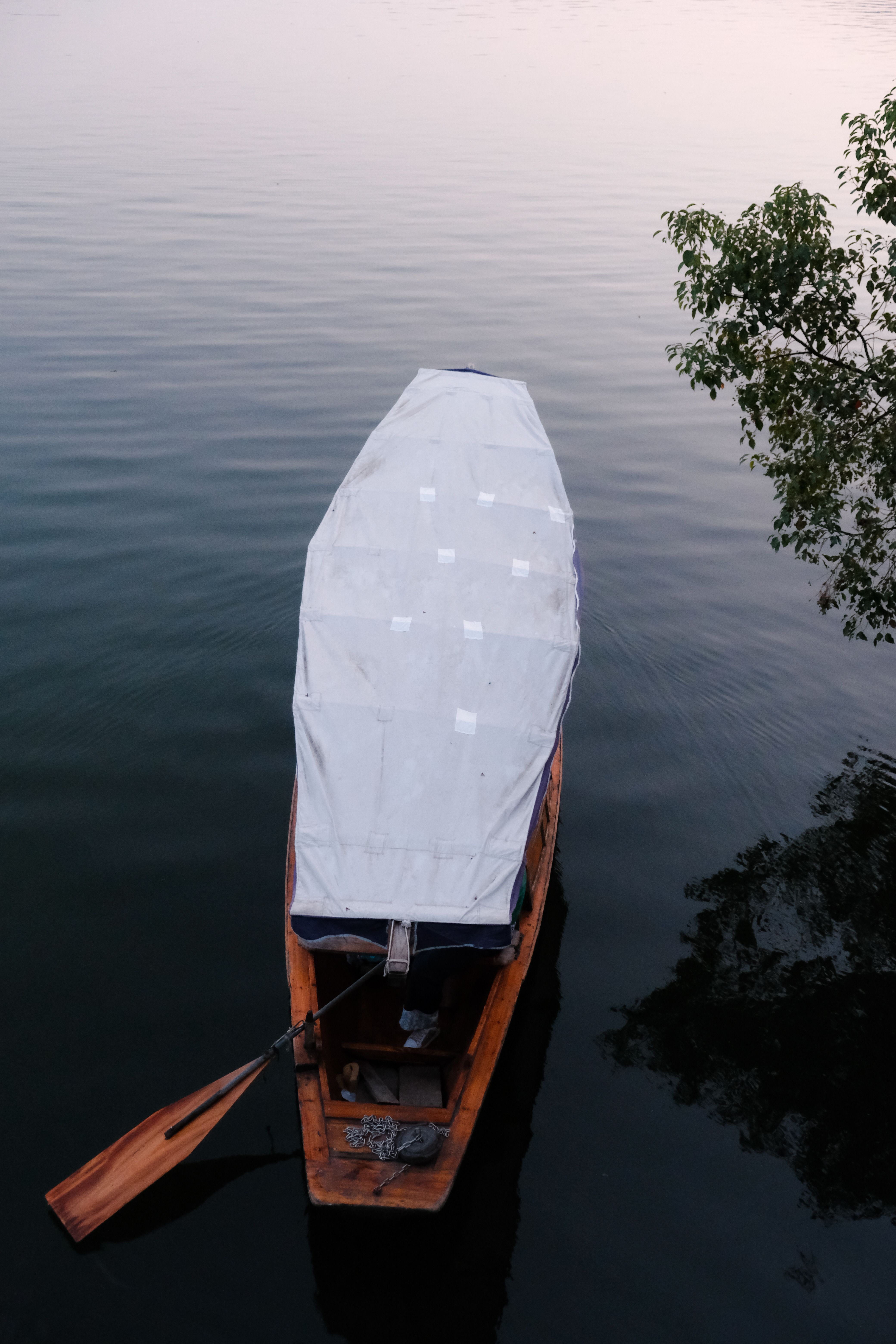 Roofed Wooden Boat with Paddle · Free Stock Photo