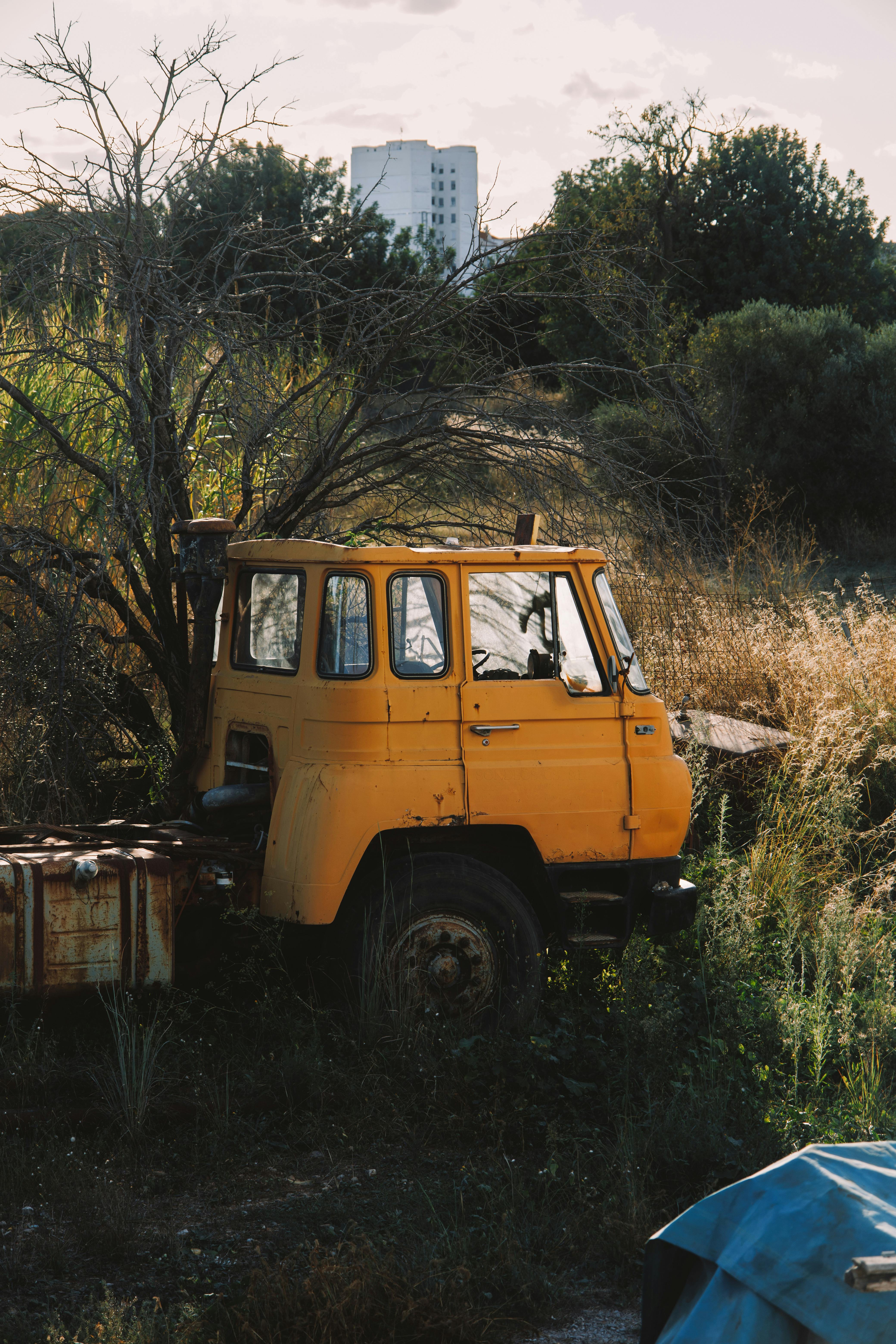 Past The Prime Photos, Download The BEST Free Past The Prime Stock ...