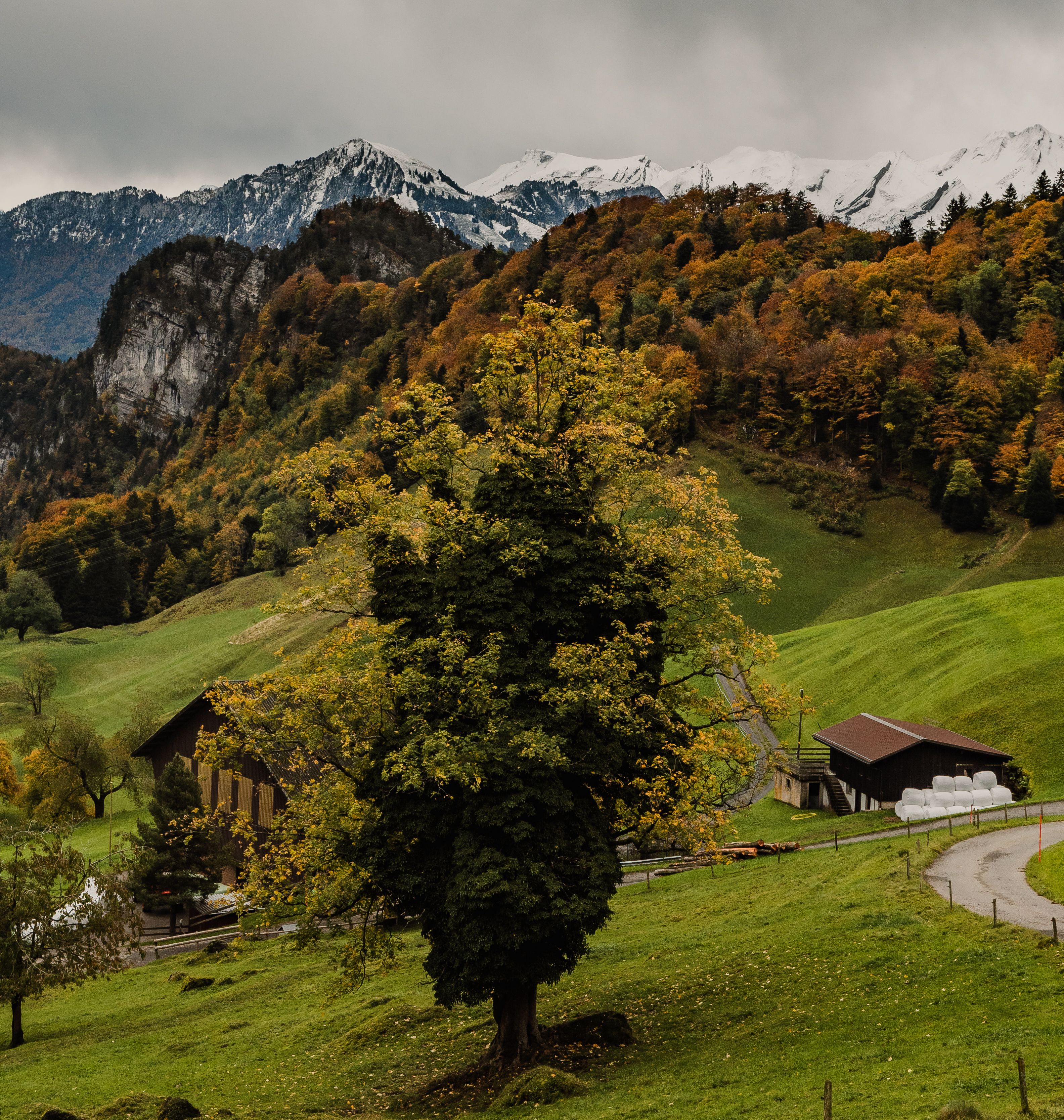 Countryside Hospital Photos, Download The BEST Free Countryside ...