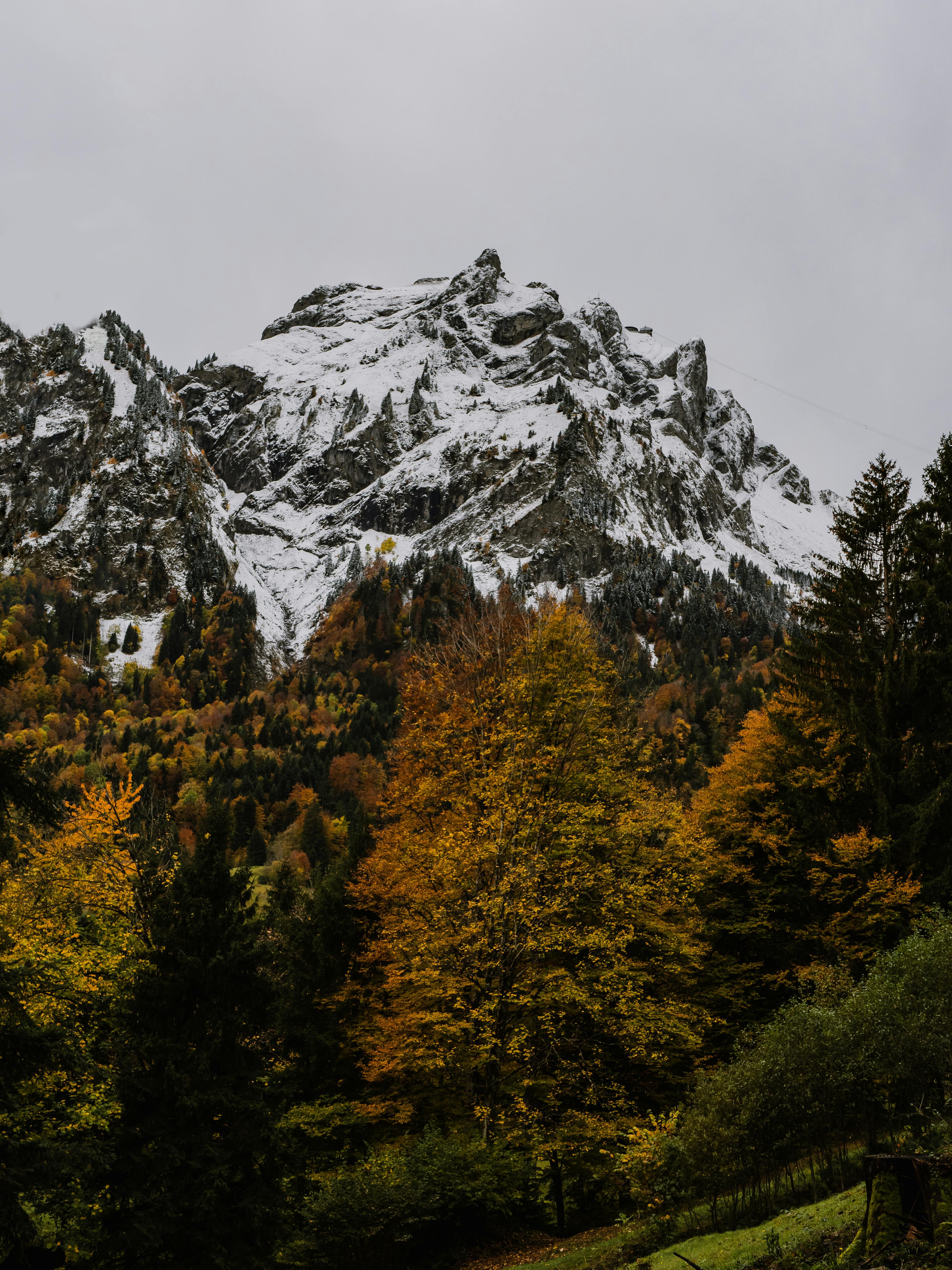 Mountain Valley in Autumn · Free Stock Photo