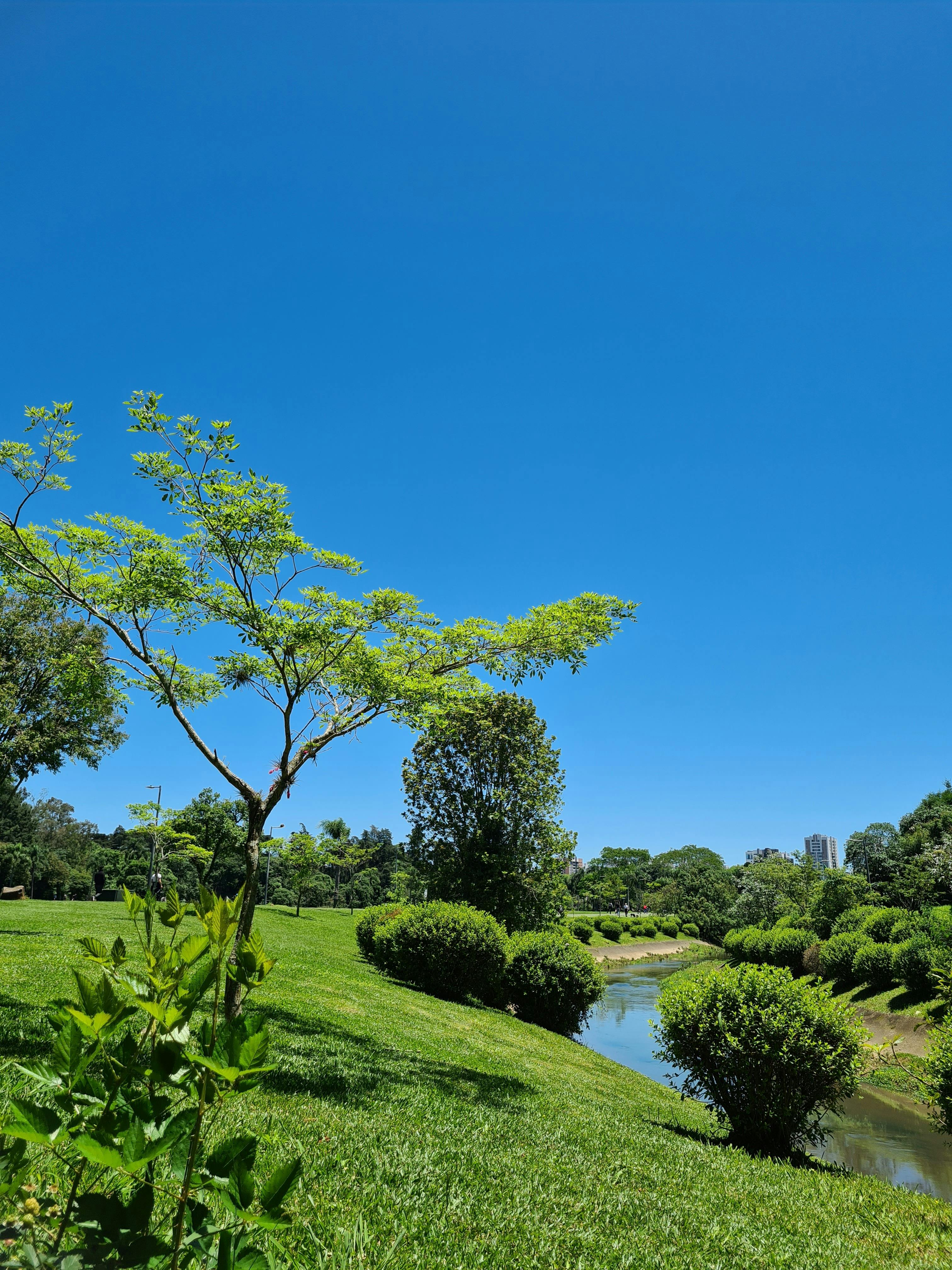 Woman among Nature with Bicycle · Free Stock Photo