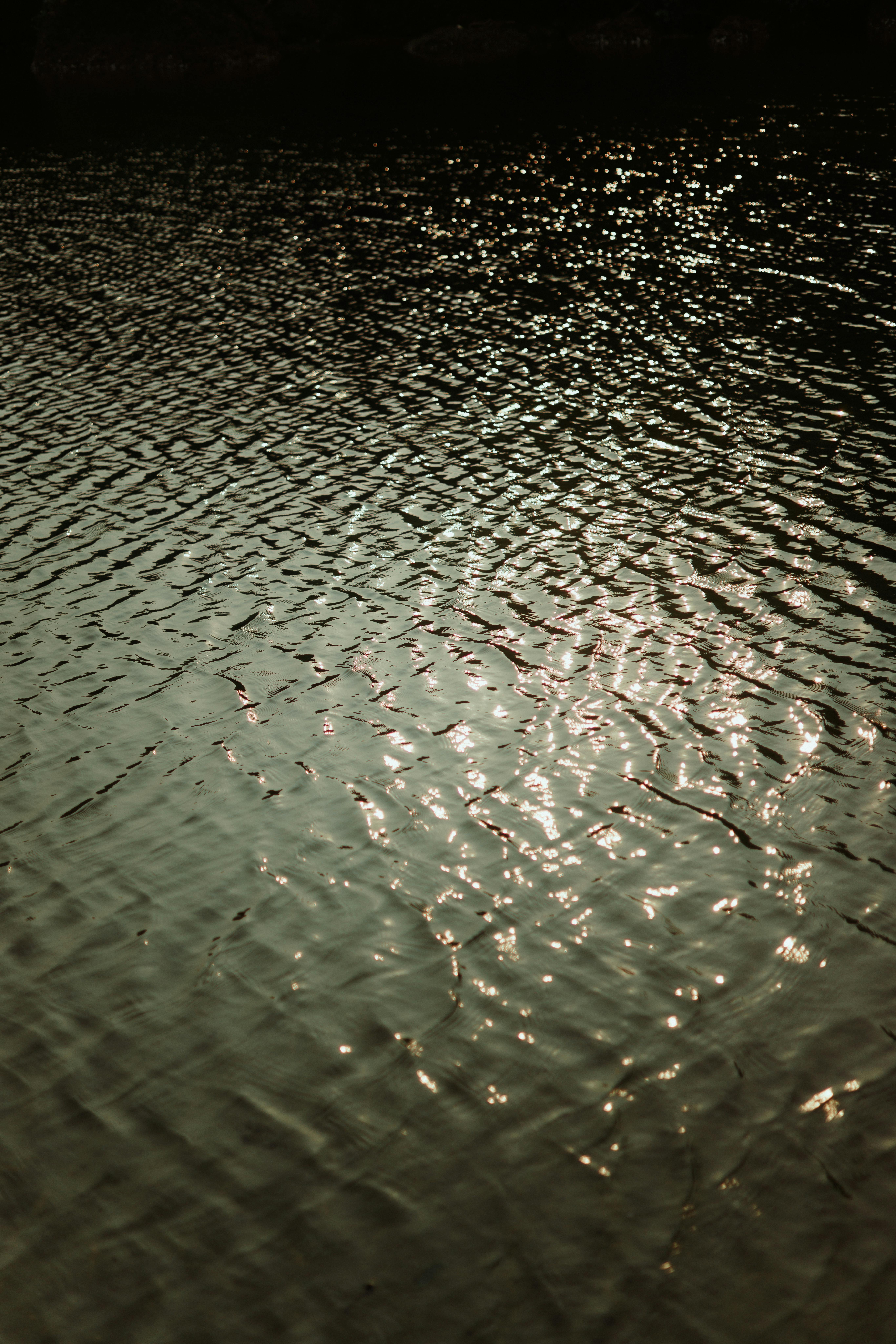Ripples in Lake · Free Stock Photo