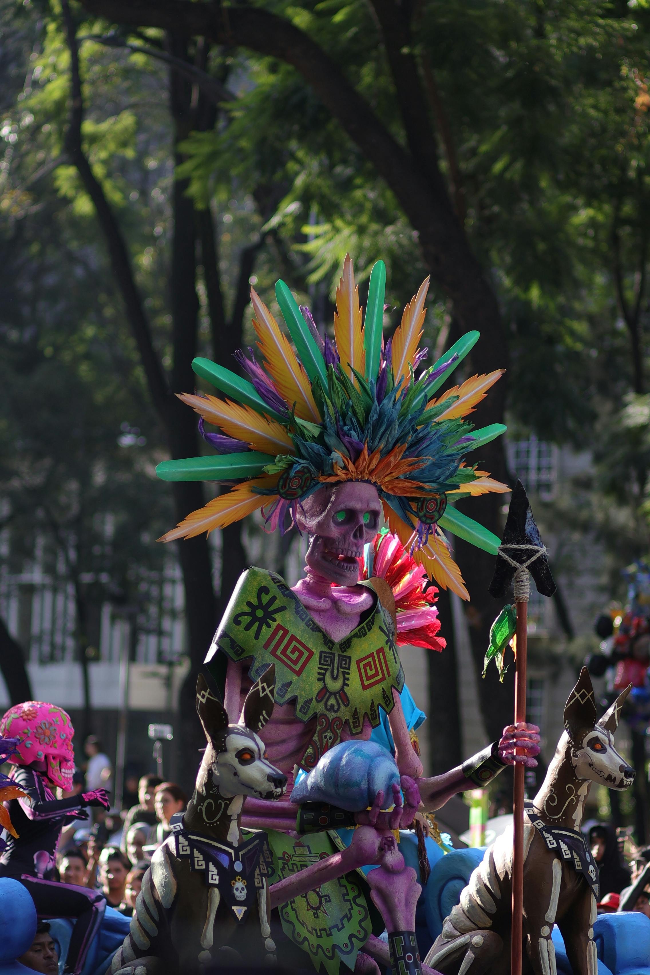 Skeleton Cool Photos, Download The BEST Free Skeleton Cool Stock Photos ...