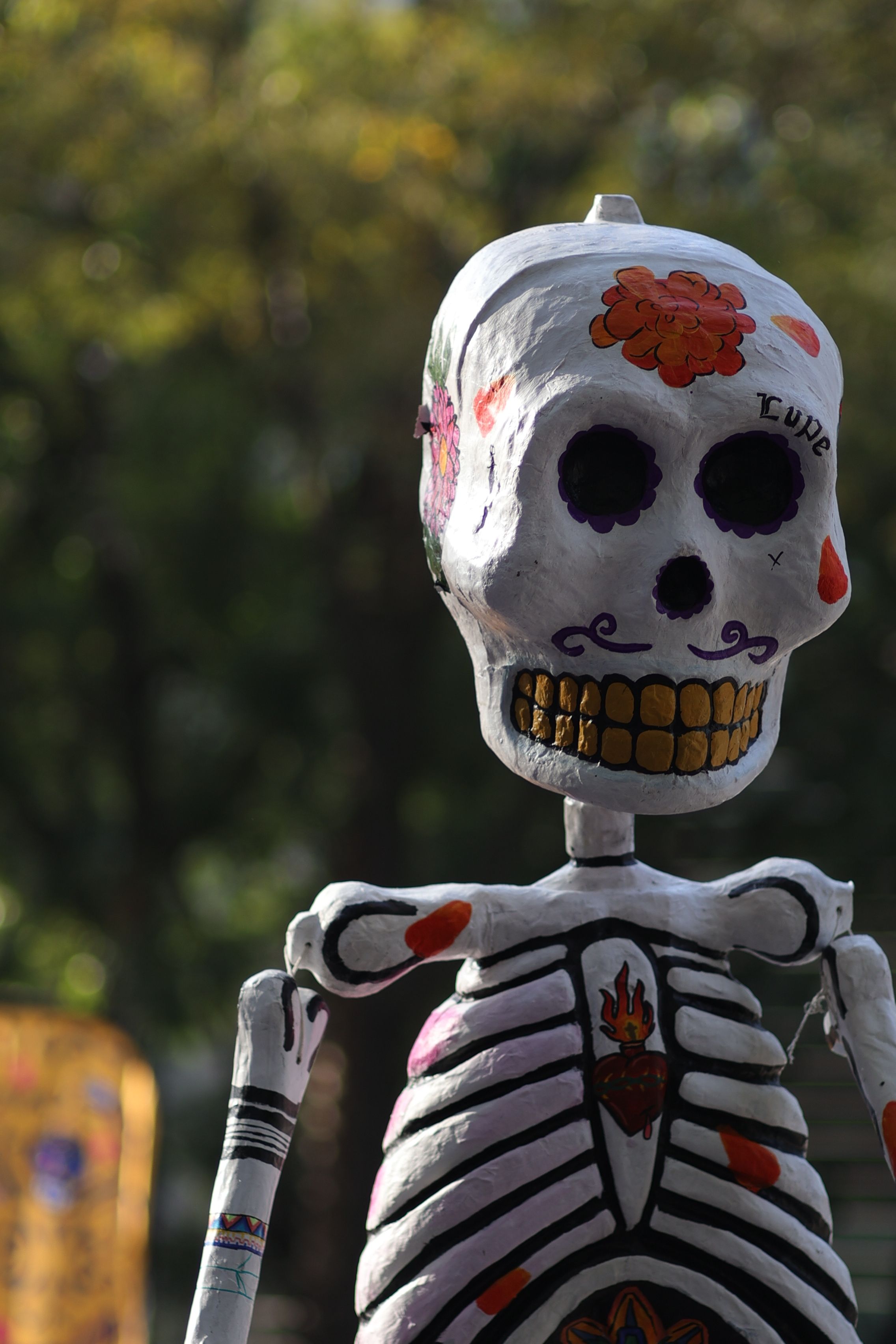 A skeleton is holding a flower in its hand · Free Stock Photo