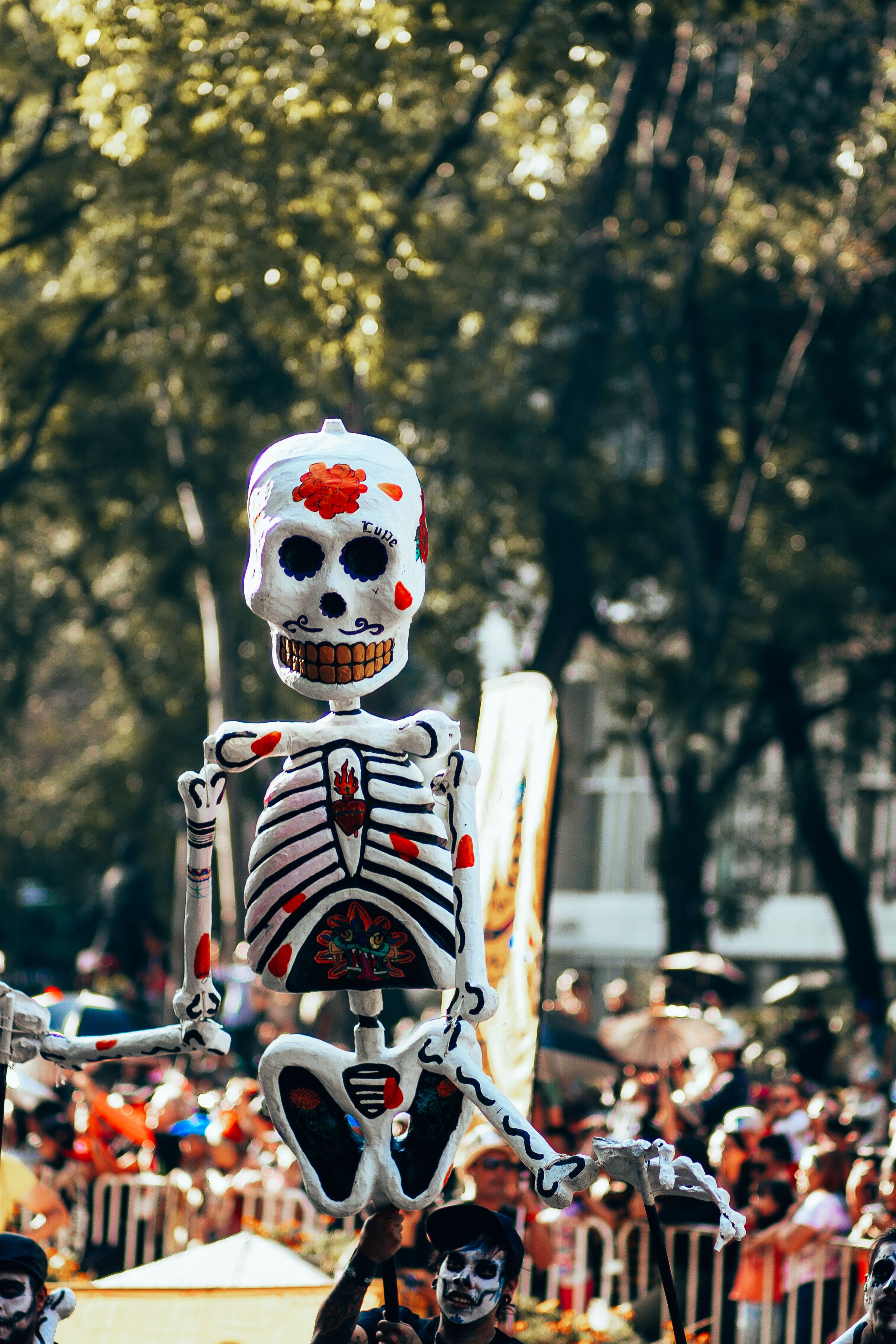Dancing Skeleton Photos, Download The BEST Free Dancing Skeleton Stock ...