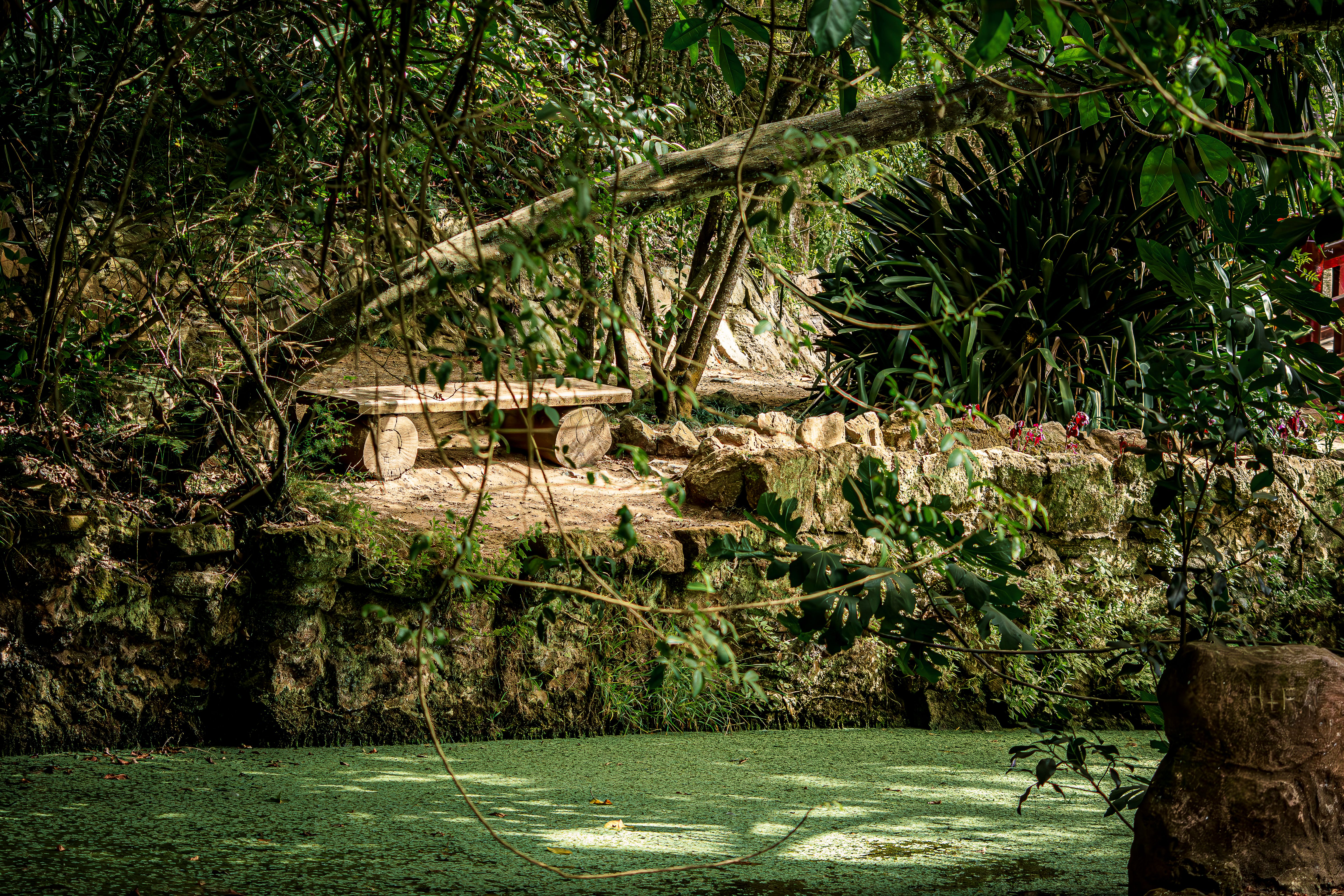 View of a Bench by a Pond in a Park · Free Stock Photo