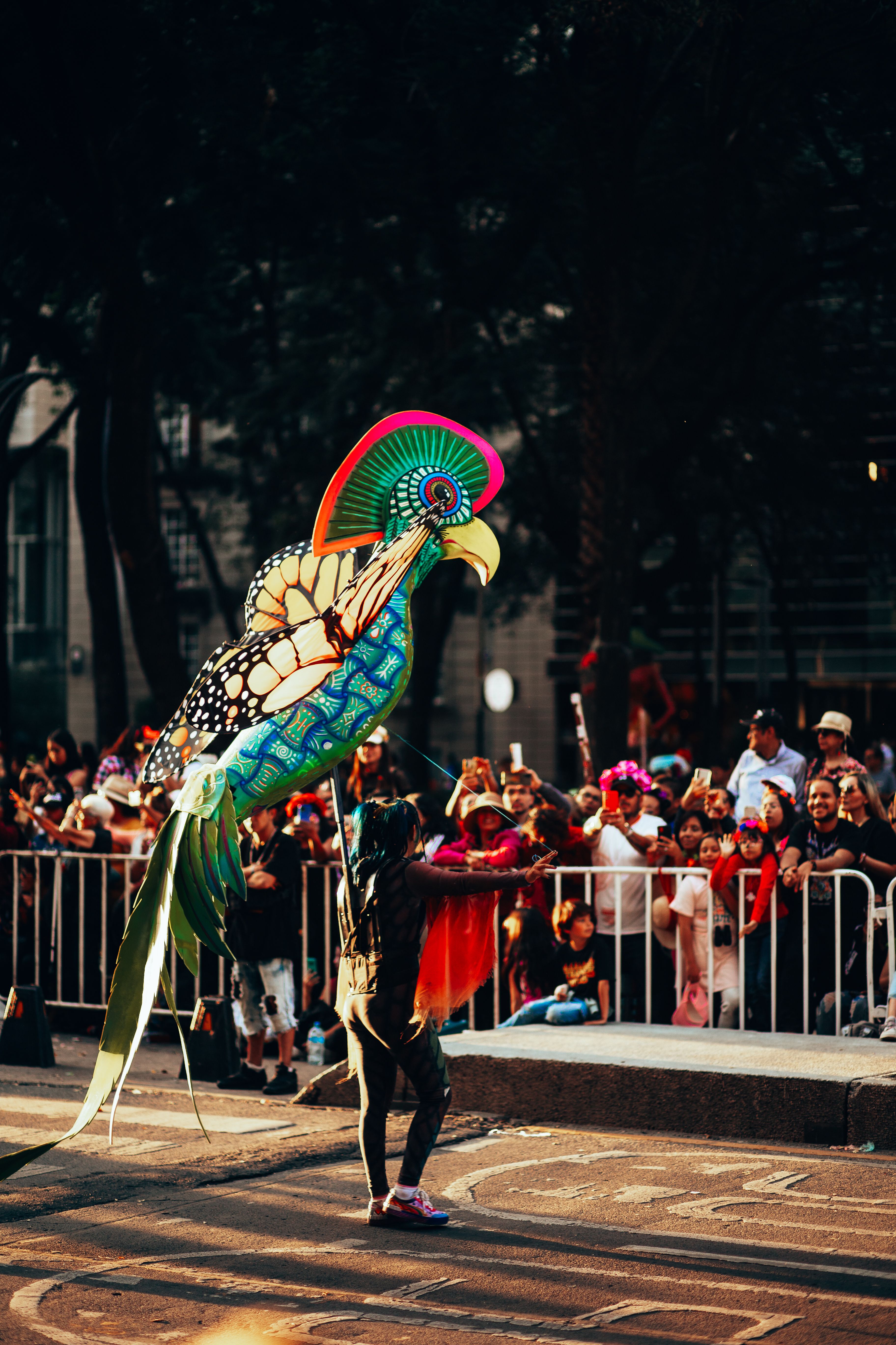 Woman Holding a Large Bird Decoration at a Parade · Free Stock Photo