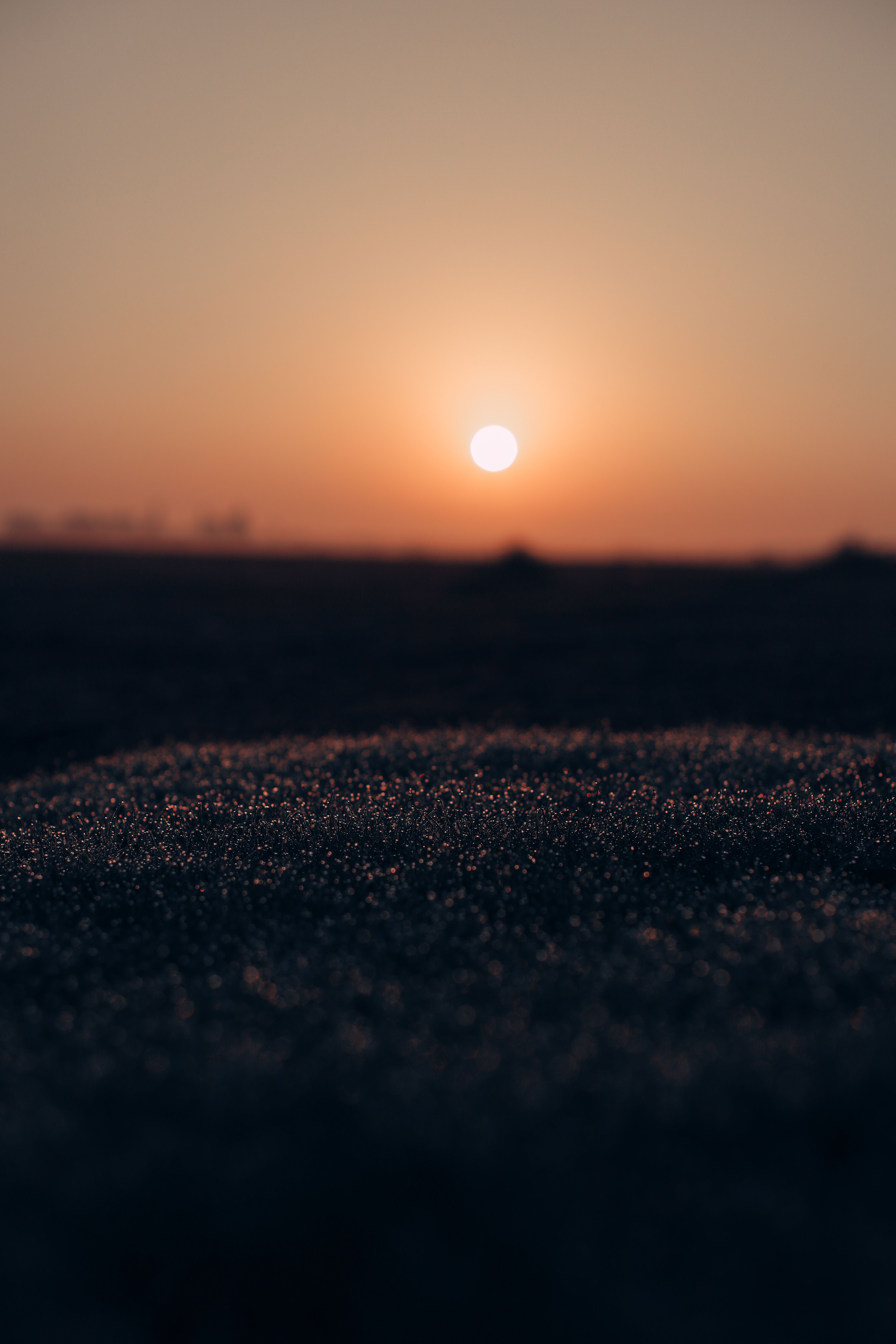 Close-up of the Ground at Sunset · Free Stock Photo