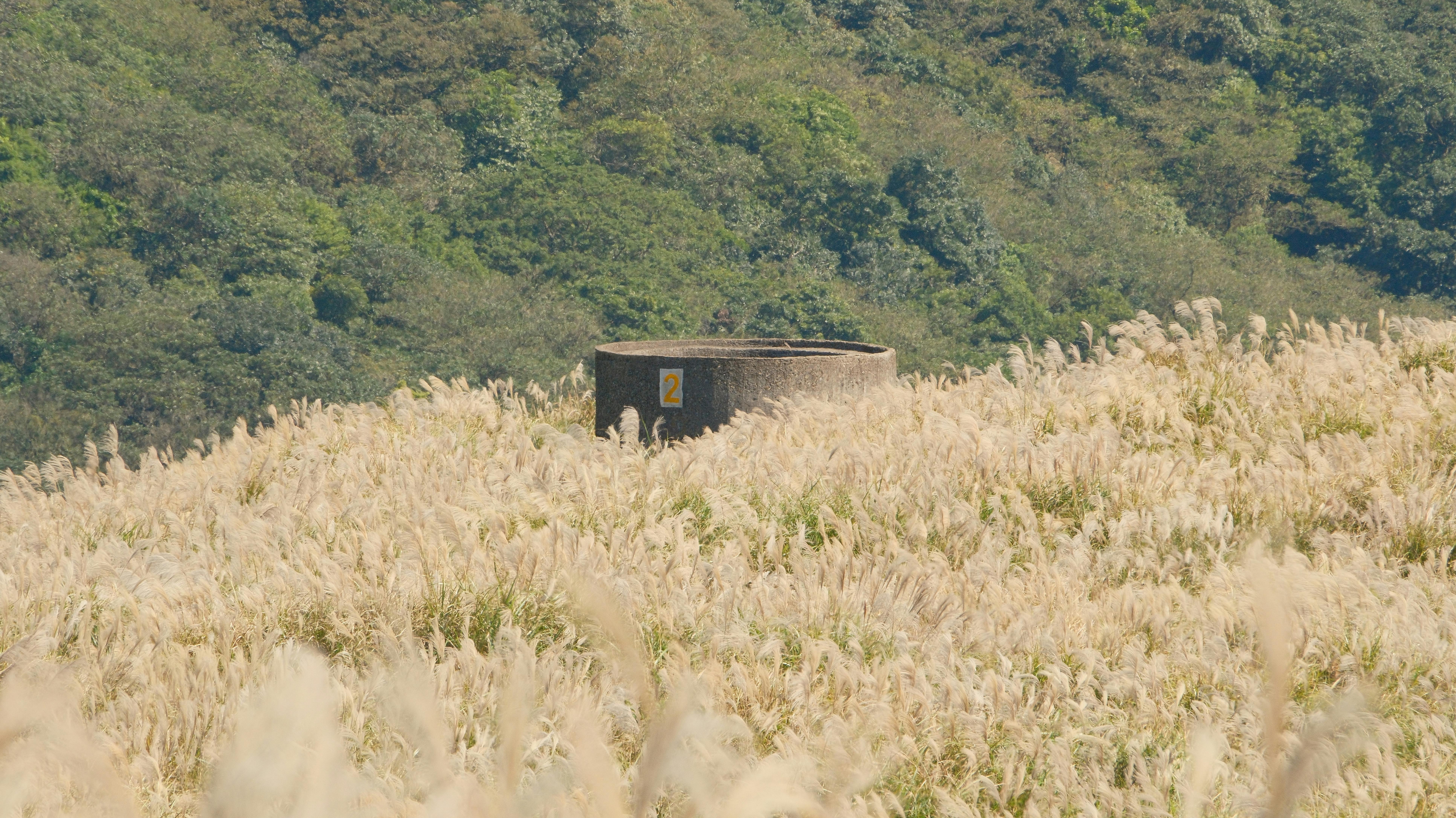 Building among Grasses · Free Stock Photo